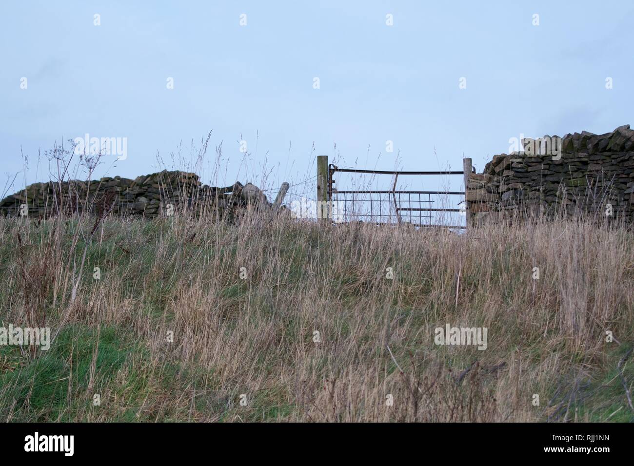A dry stone wall and iron gate in a field in New Mills, Derbyshire ...