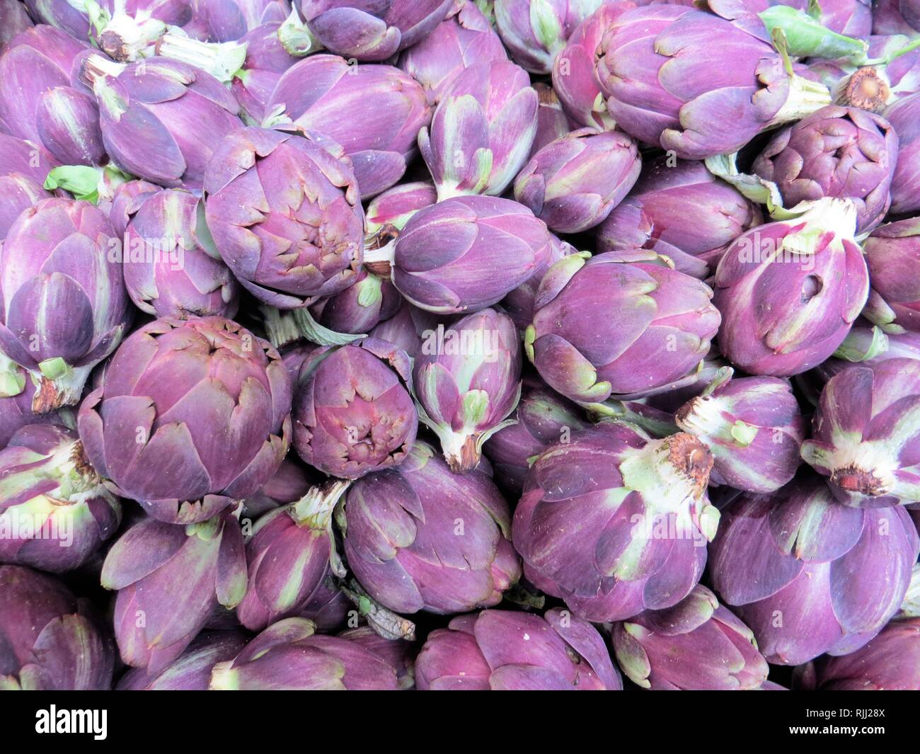 Purple bounty hi-res stock photography and images - Alamy