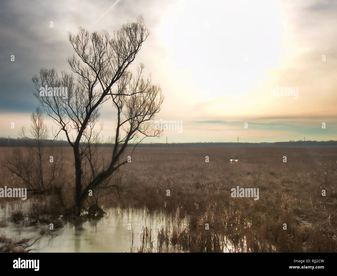 Wetland marsh hi-res stock photography and images - Alamy