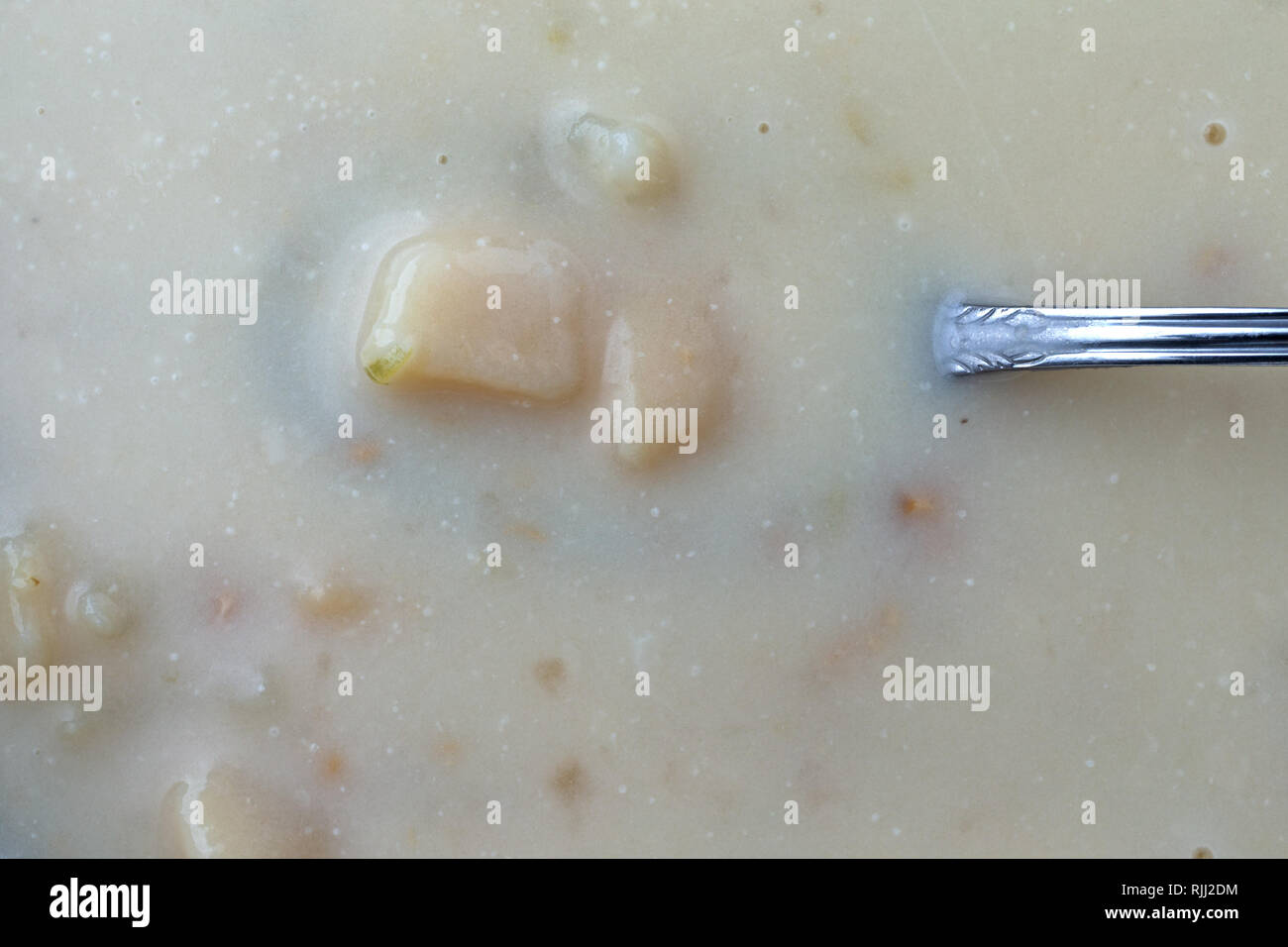 Top close view of hot canned clam chowder with a spoon in the food ...