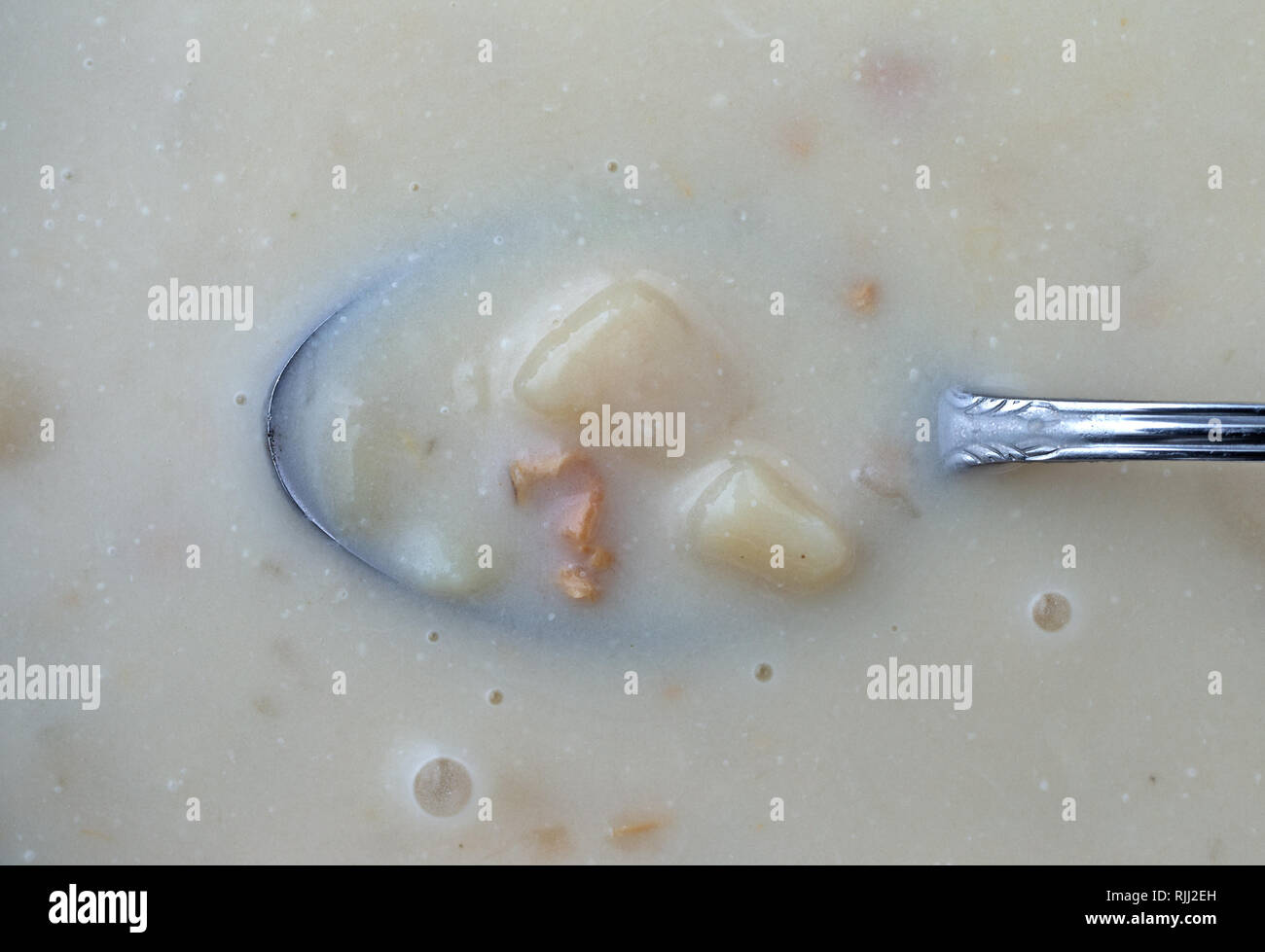 Overhead close view of hot canned clam chowder with a spoon in the food ...