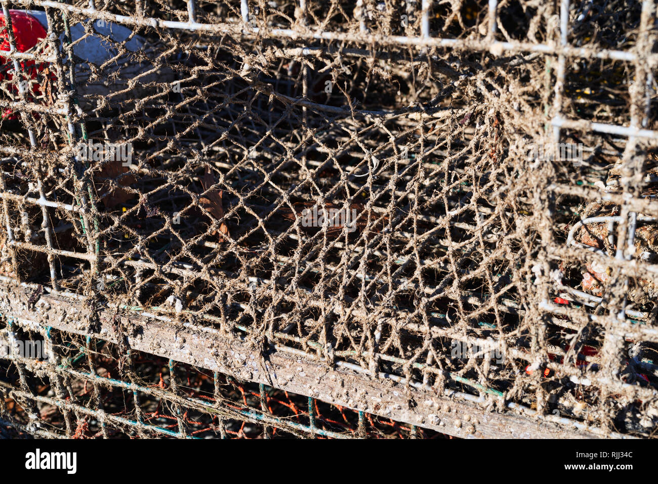 Wire lobster trap hi-res stock photography and images - Alamy