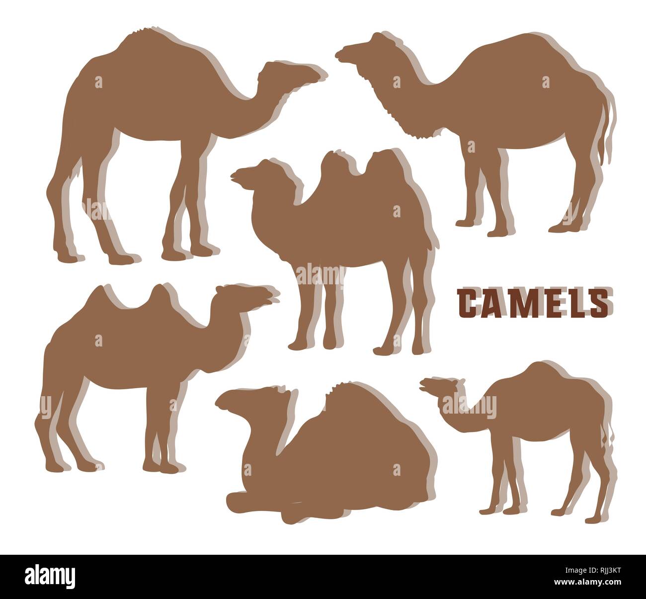 Camel Silhouettes set. Vector illustration EPS 10 Stock Vector Image ...