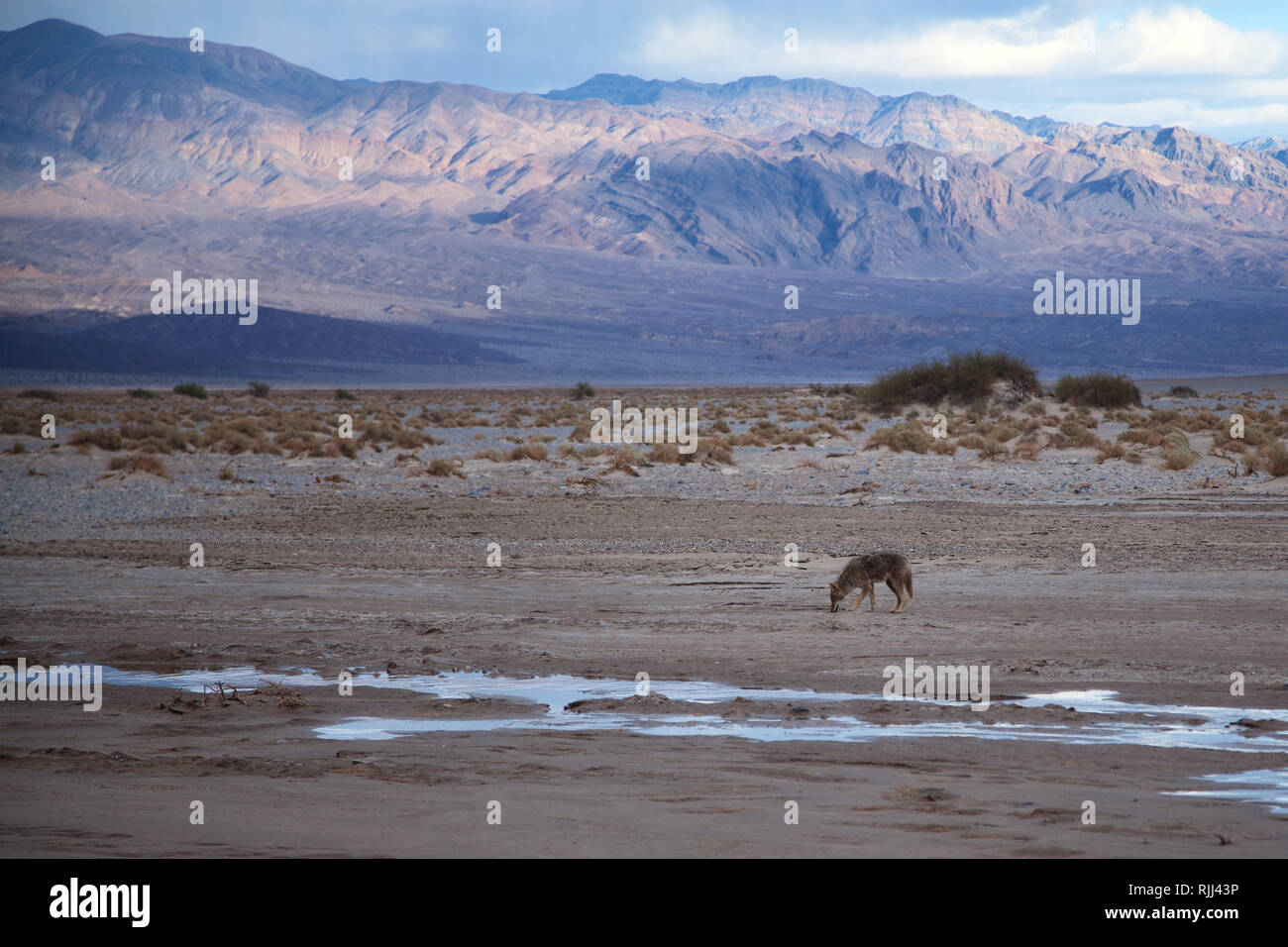 Salt creek hi-res stock photography and images - Alamy