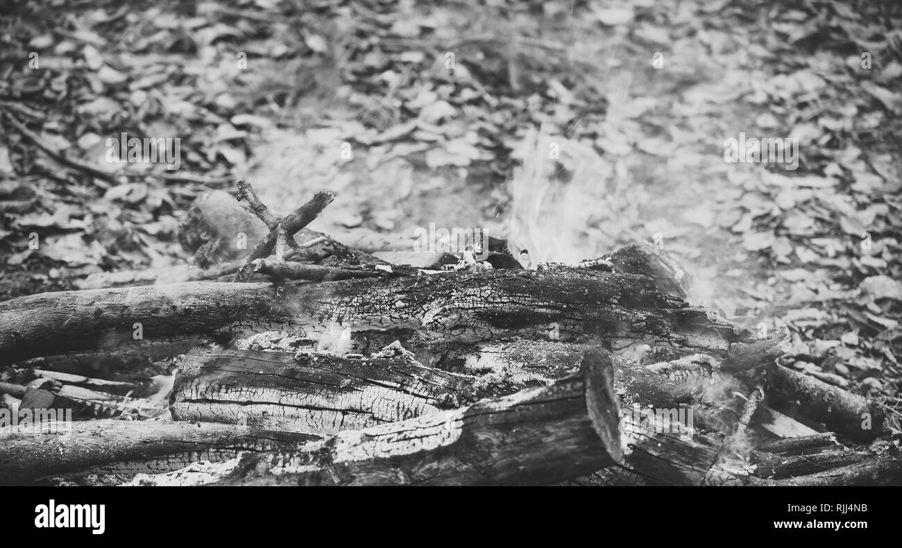 Bonfire barbecue bright red fire Black and White Stock Photos & Images ...