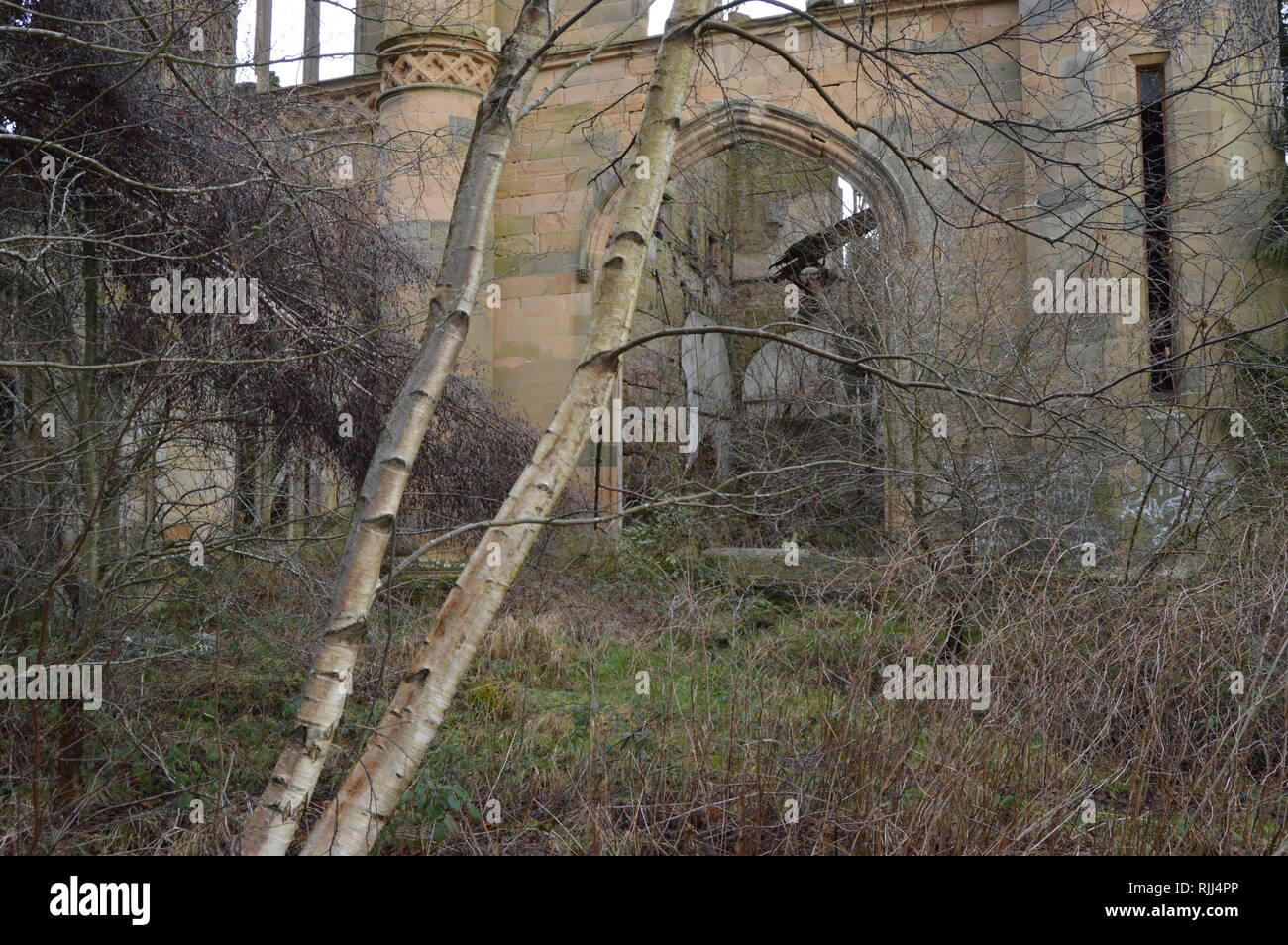 The striking ruins of Crawford Priory, Springfield, Cupar, Fife ...
