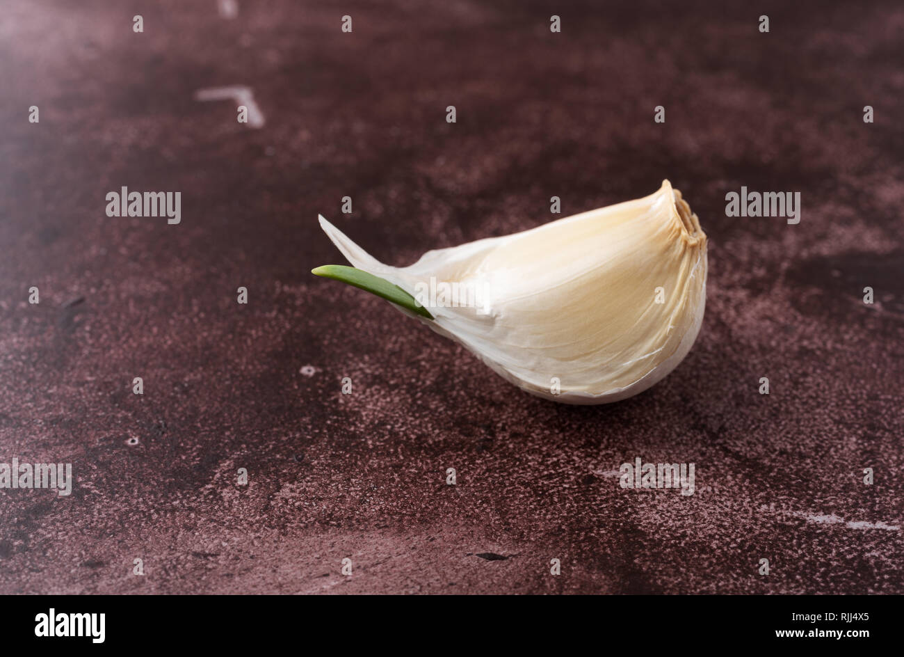 Side view of a single garlic clove sprouting on a red background Stock ...