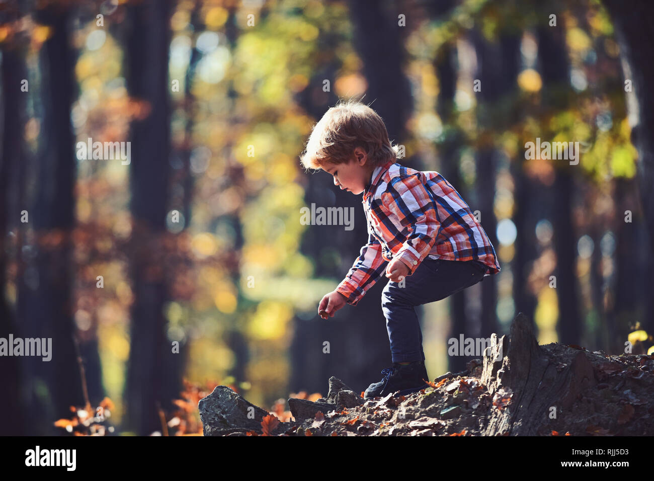 Child play in autumn forest. Child on fresh air outdoor Stock Photo - Alamy