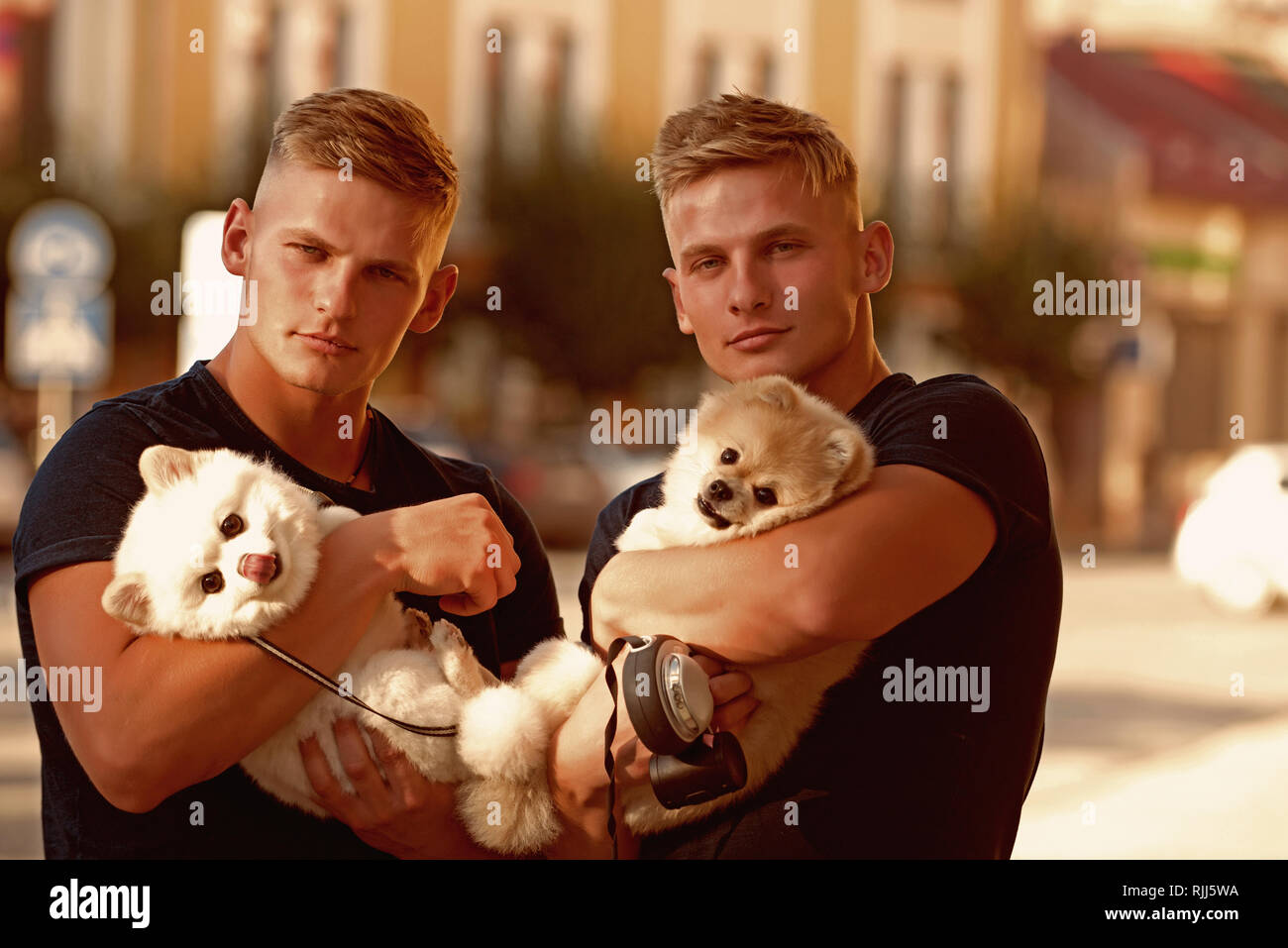 Always carrying about each other. Twins men hold pedigree dogs. Spitz ...