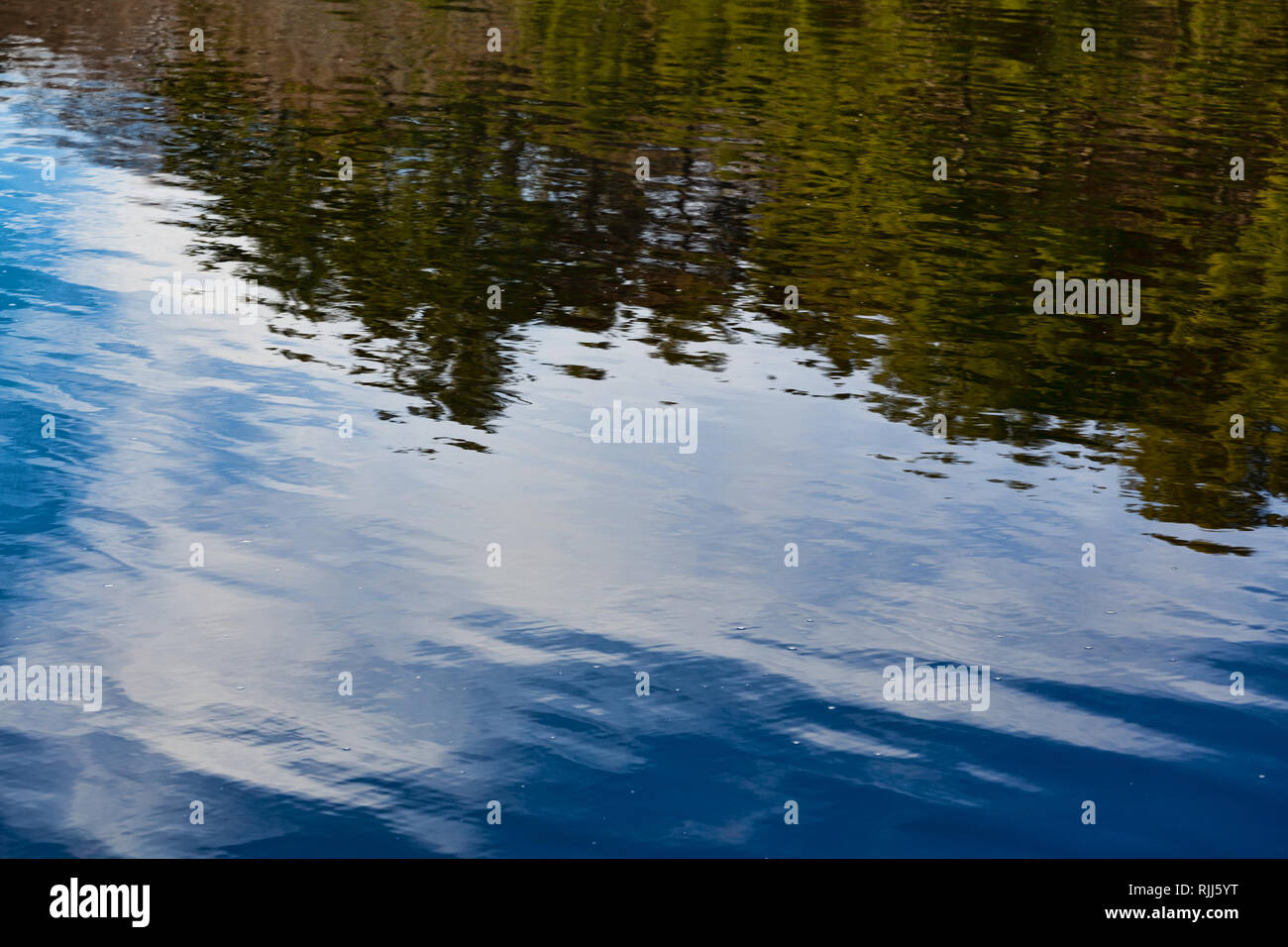 Rippled reflection of a forest and blue sky with clouds on a pond in ...