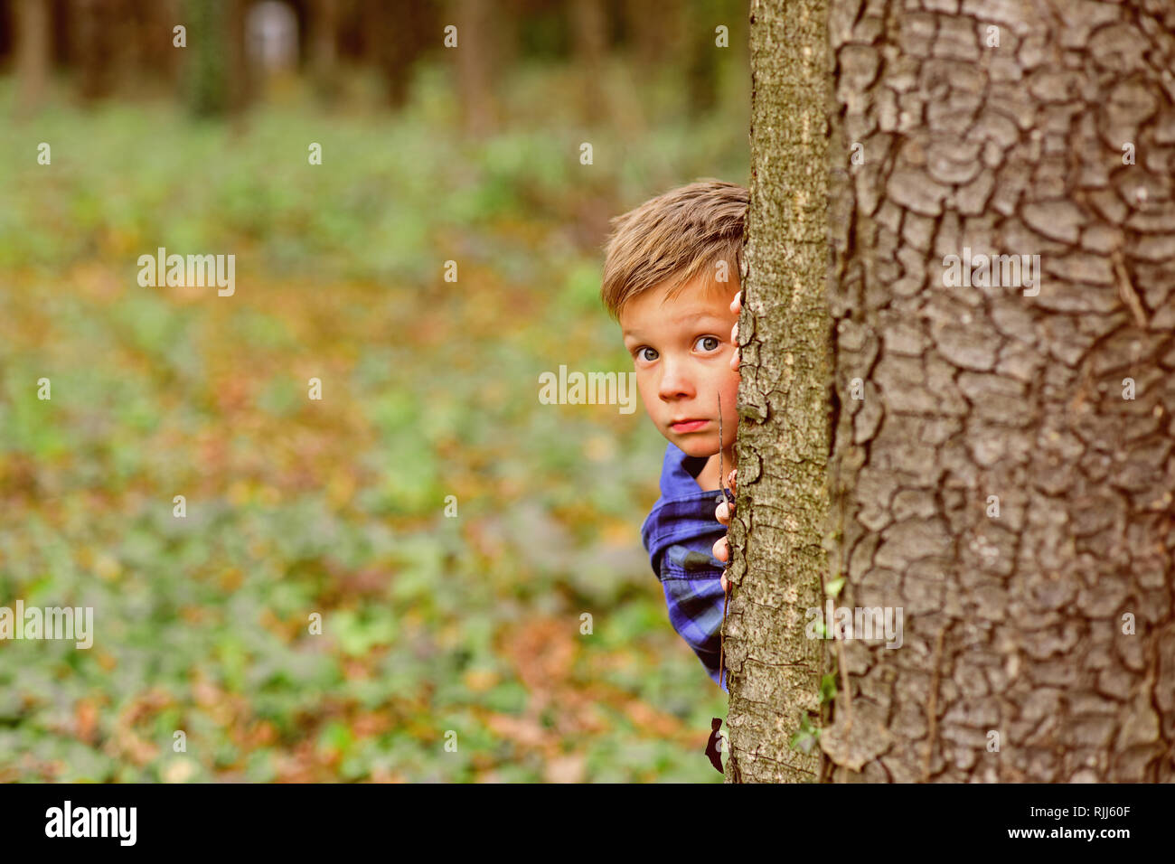Boy preteen afraid hi-res stock photography and images - Alamy