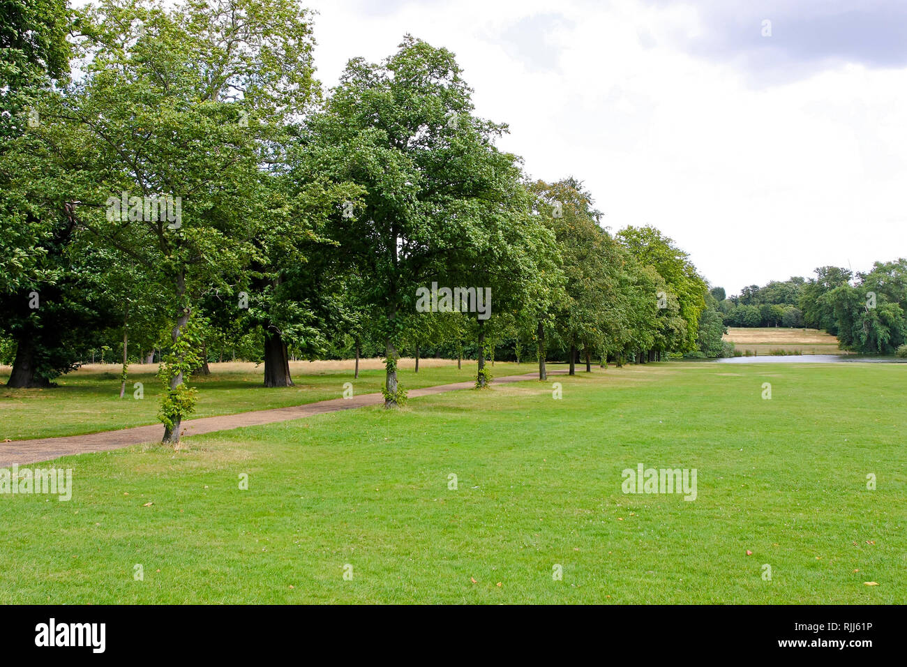 Green grass field in London Hyde Park Stock Photo - Alamy