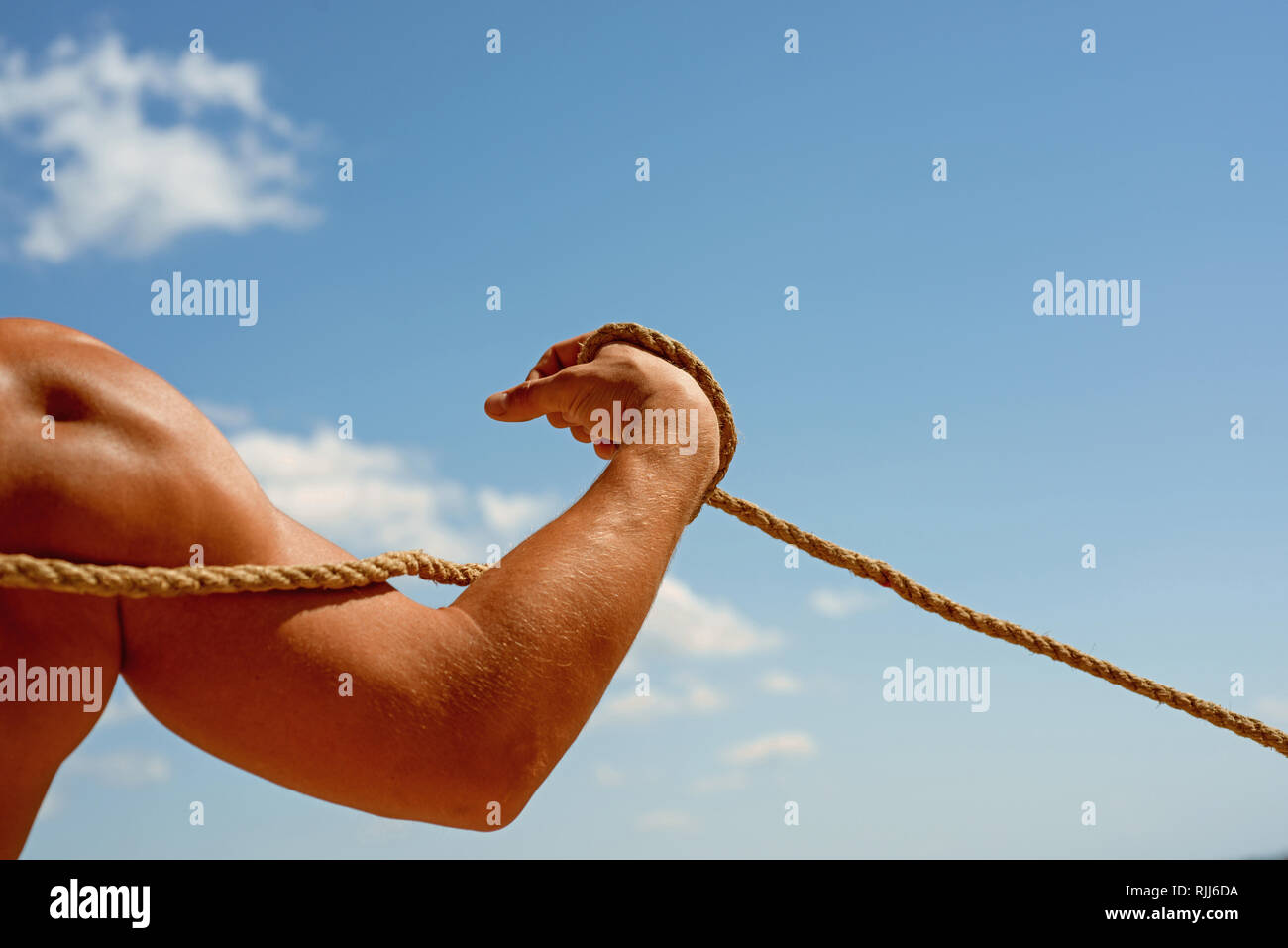 Gaining muscle. Sport training. Strong arm and shoulders tugging rope ...