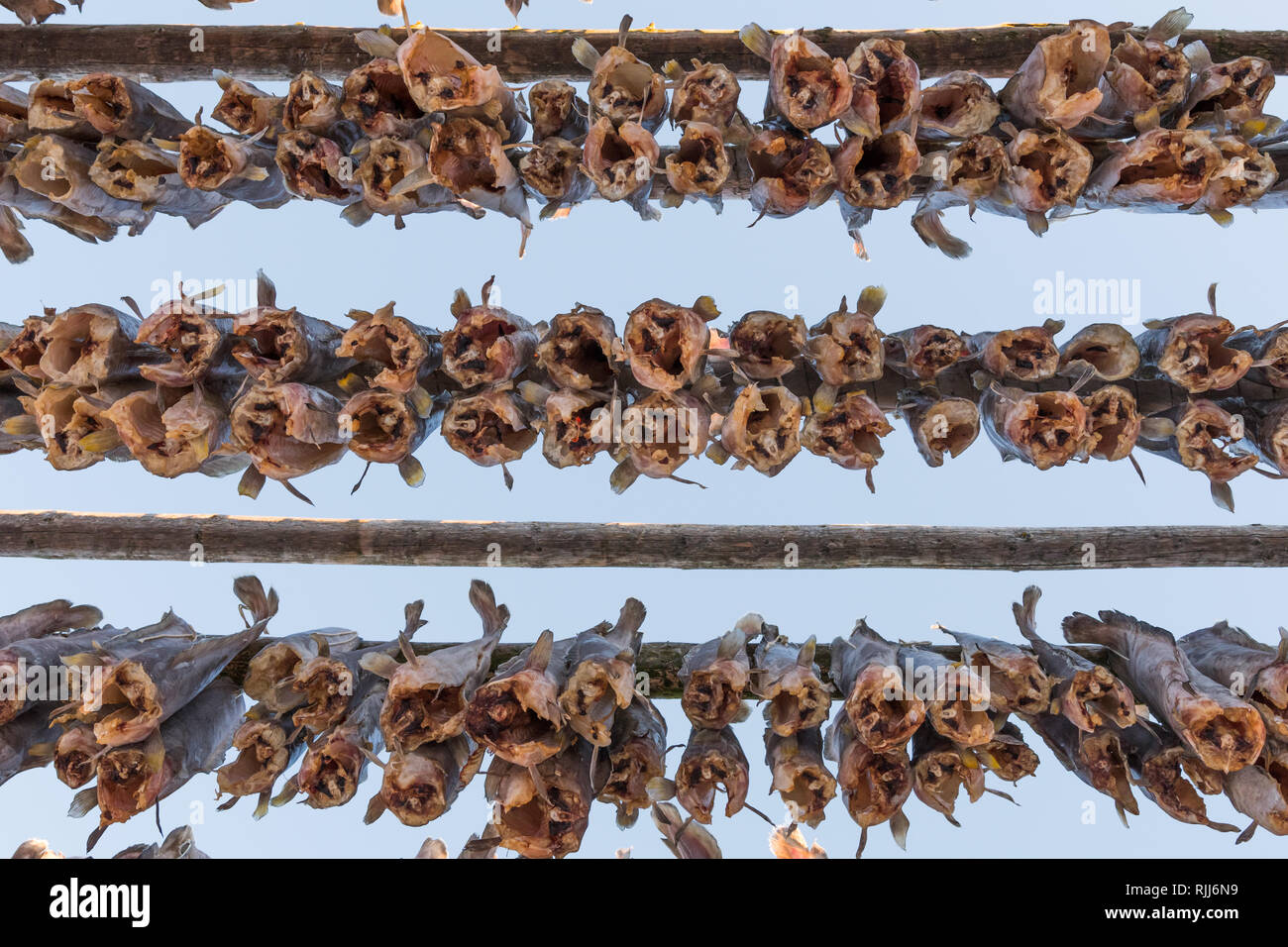 Norwegian klippfisk hi-res stock photography and images - Alamy