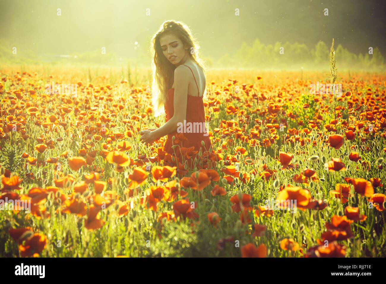poppy seed and girl with long curly hair Stock Photo - Alamy