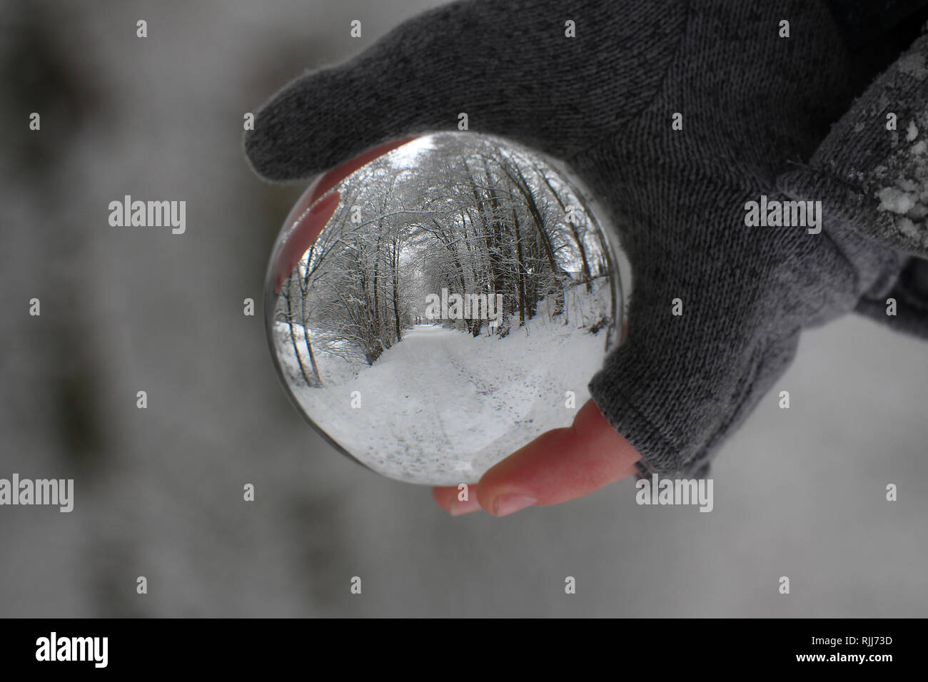 Lensball hi-res stock photography and images - Alamy