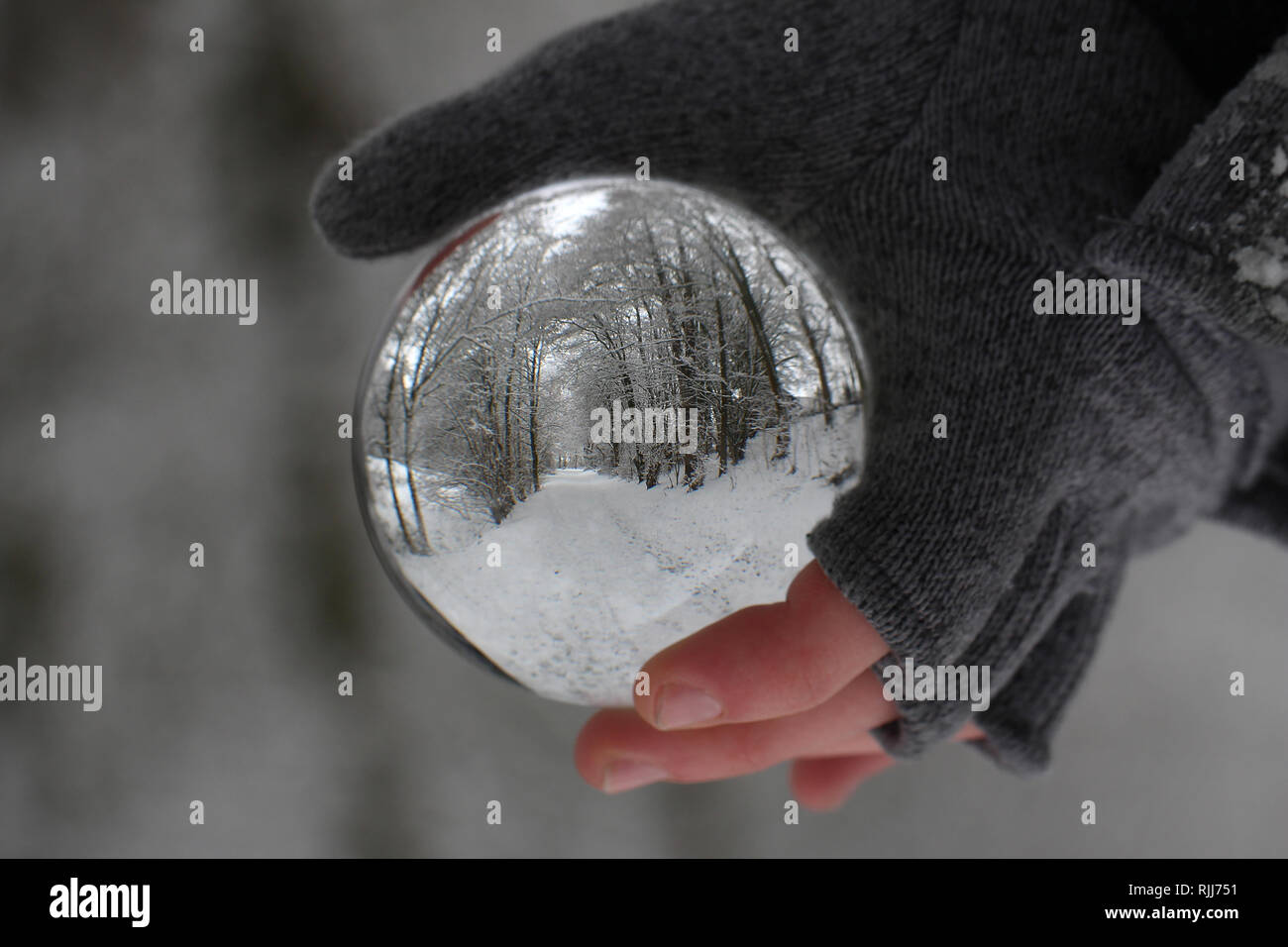 Lensball hi-res stock photography and images - Alamy