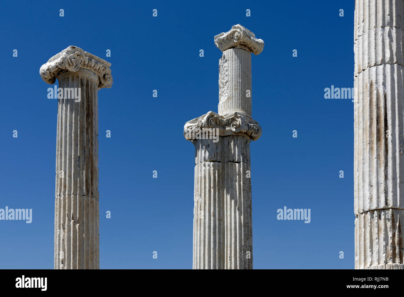 Ionic Pillars Stock Photos & Ionic Pillars Stock Images - Alamy