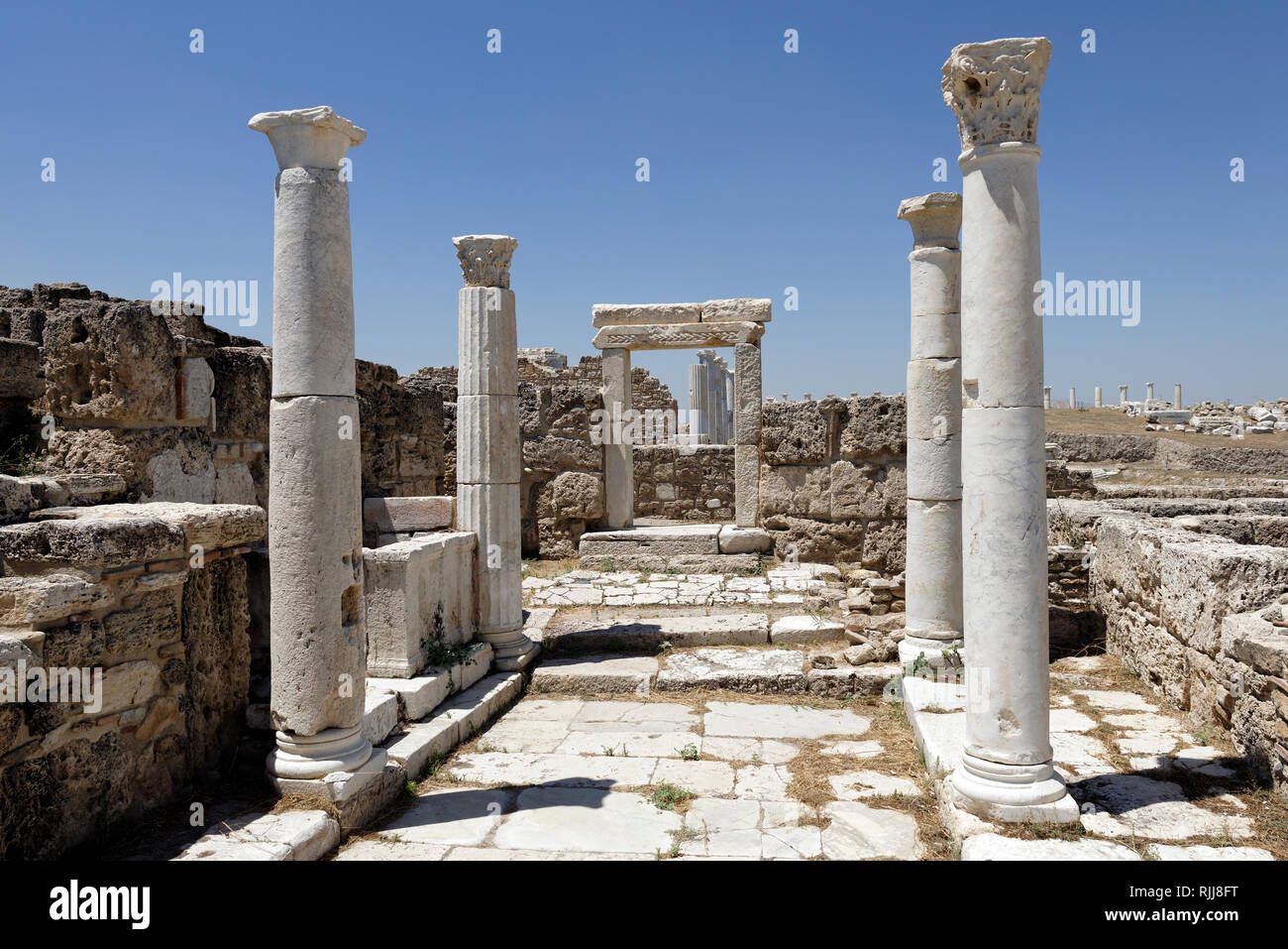 The peristyle courtyard of the Clubhouse of the Greens, Laodicea ...