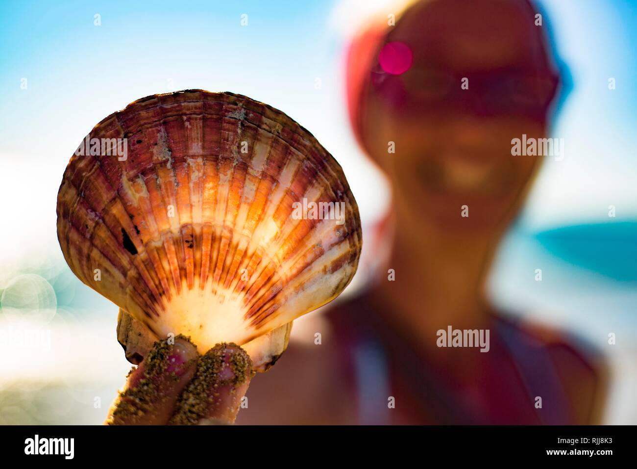 Woman holding a fan shell, sunlight shining through the shell, Portbail ...
