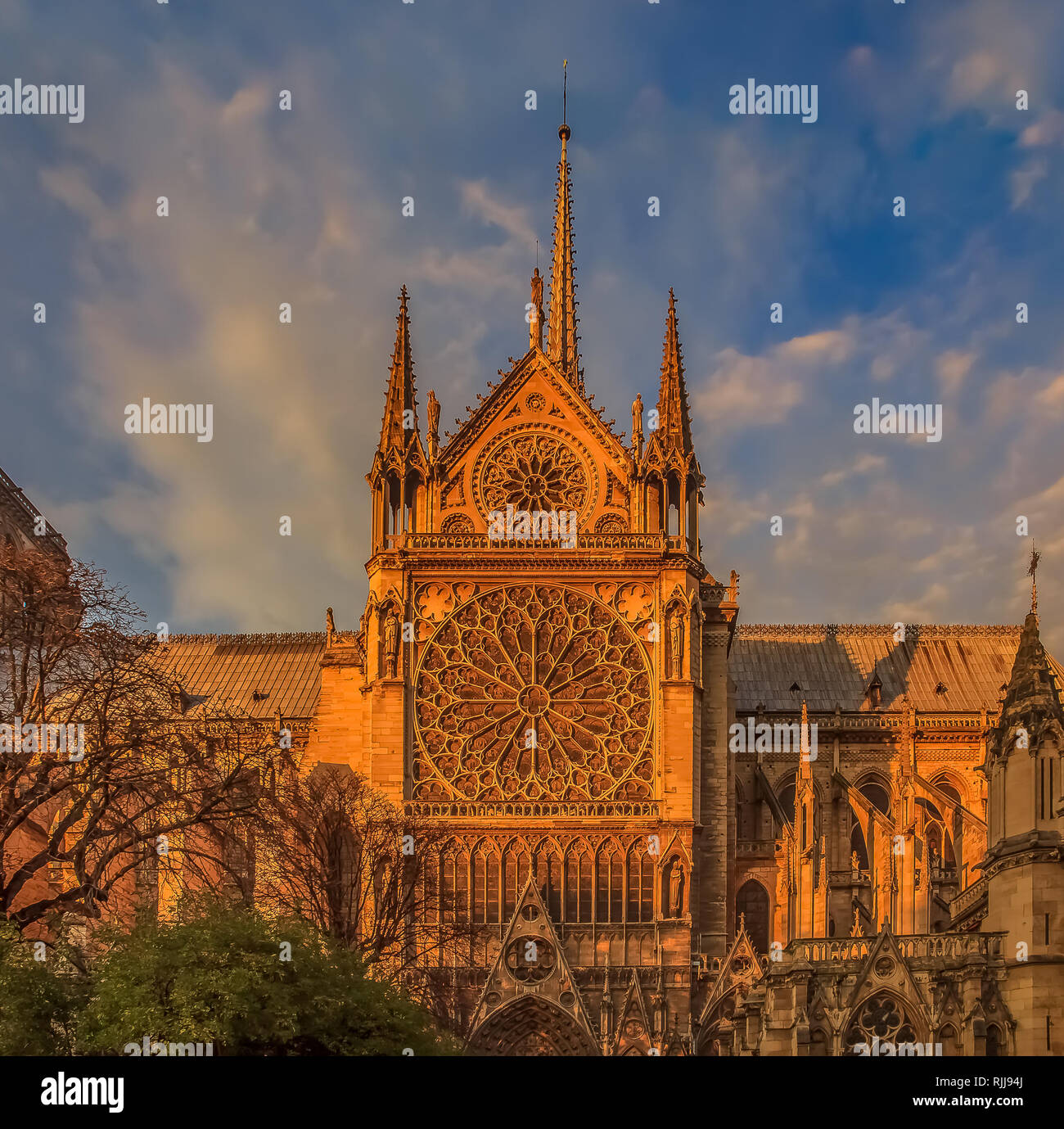 Detail rose de la facade hi-res stock photography and images - Alamy