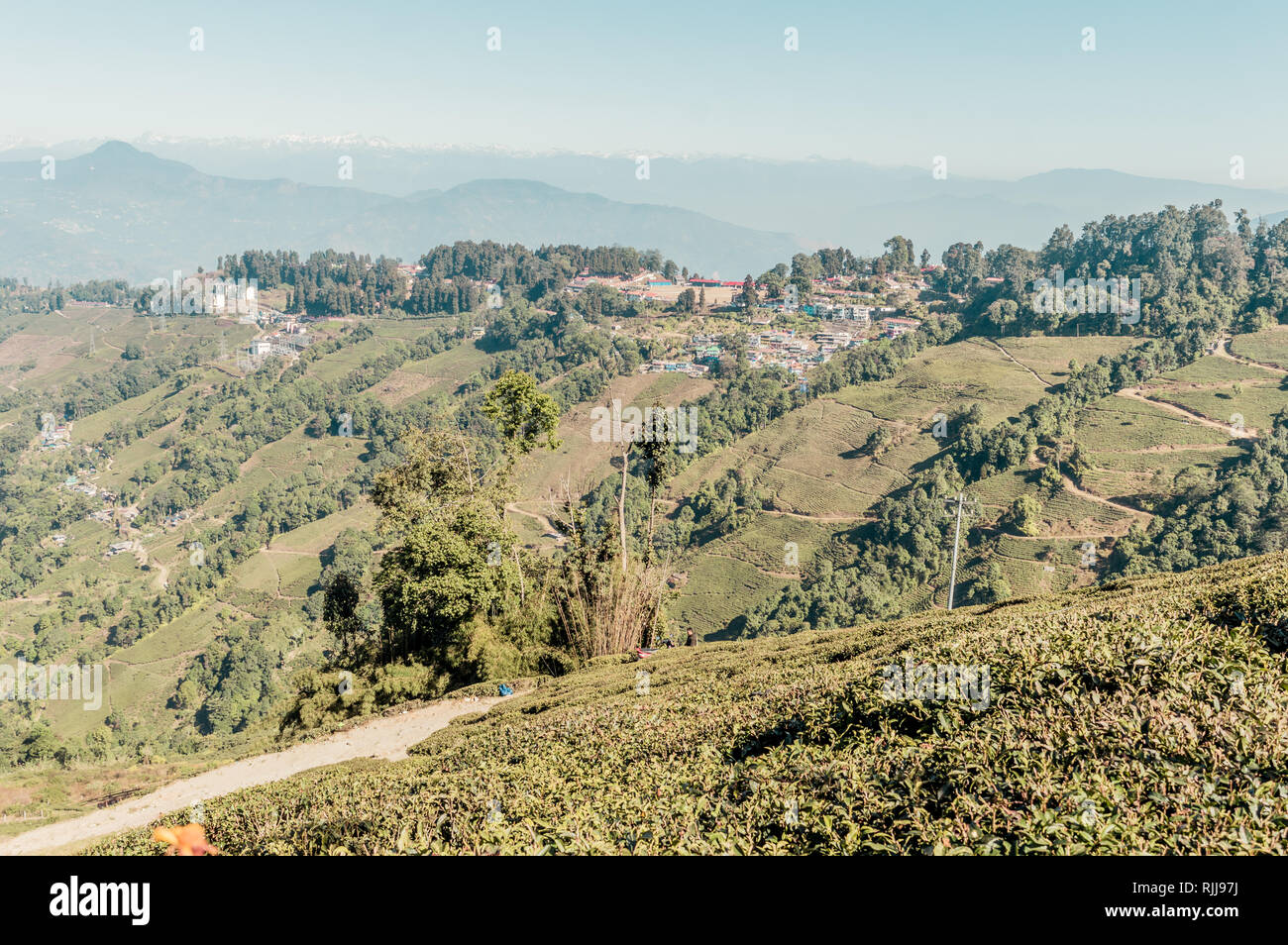 The scenic landscapes of the Central Province are covered with green ...