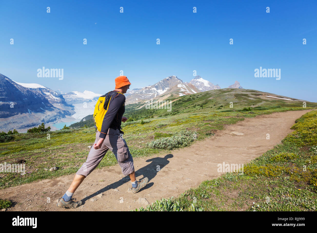 Hiking man in Canadian mountains. Hike is the popular recreation ...
