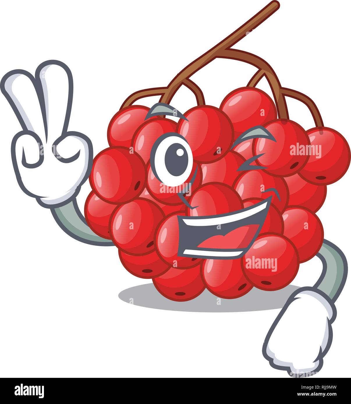 Two finger tree rowan berries the characters shape Stock Vector Image ...