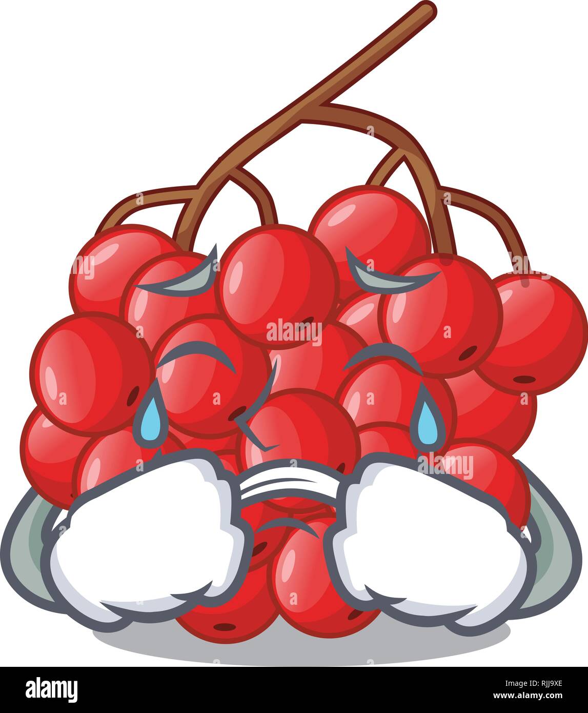 Crying rowan slices fruit cartoon berries shape Stock Vector Image ...