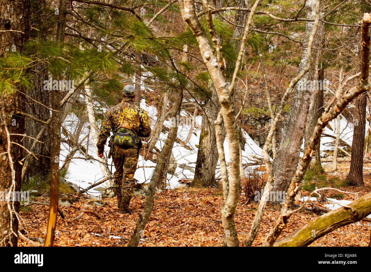 Primorsky krai hi-res stock photography and images - Alamy