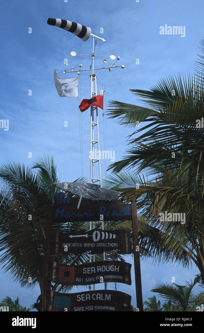 Indian Mast Tree High Resolution Stock Photography and Images - Alamy