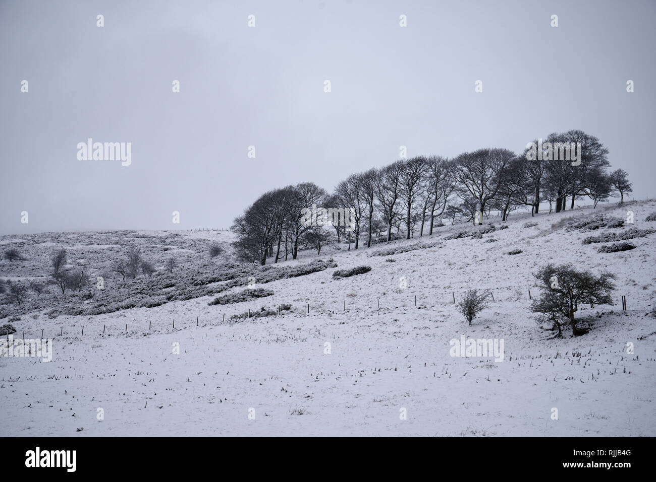 Snowy dawn in the Peak District National Park, England. Twilight light ...
