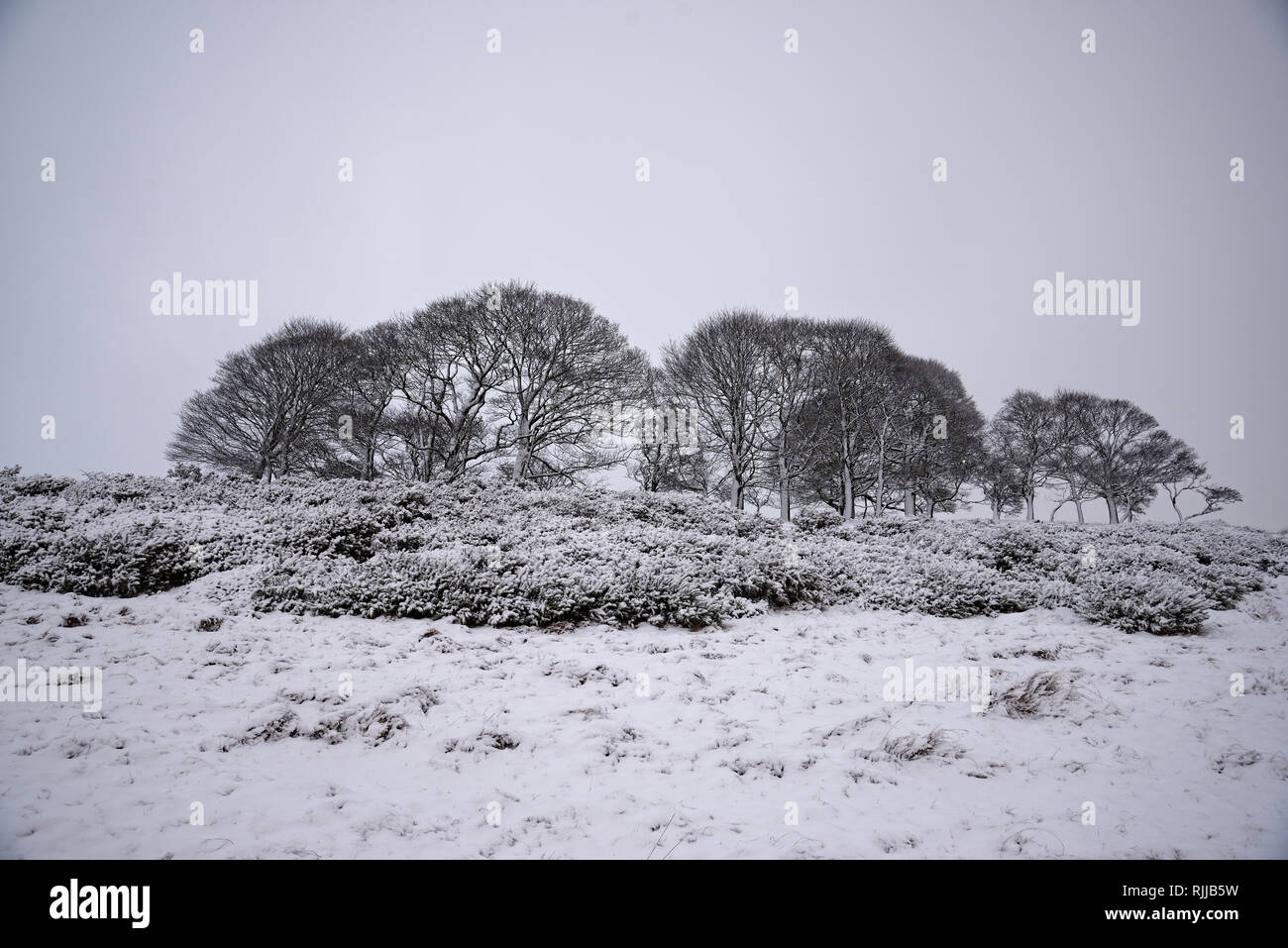 Snowy dawn in the Peak District National Park, England. Twilight light ...