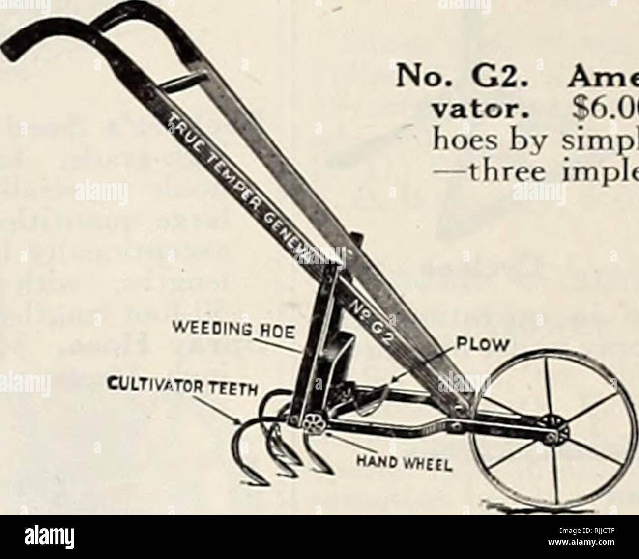 . Beckert's seed store : vegetable seeds flower bulbs. Nurseries ...