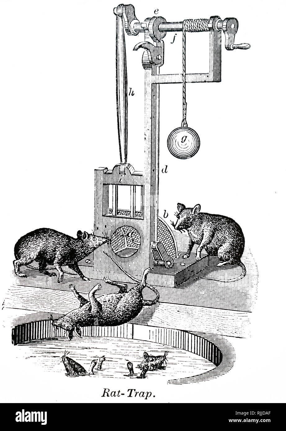Mouse trap illustration hi-res stock photography and images - Alamy