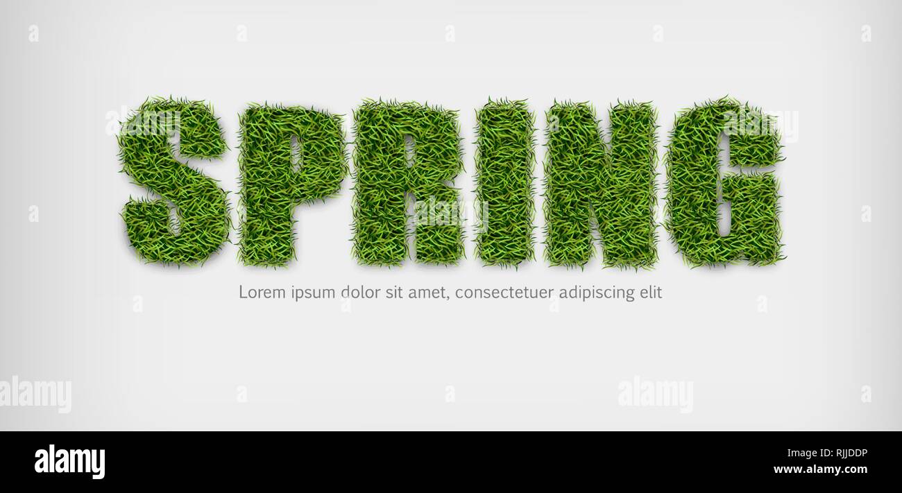 Spring sign in green grass Vector realistic. Spring sales banner on ...