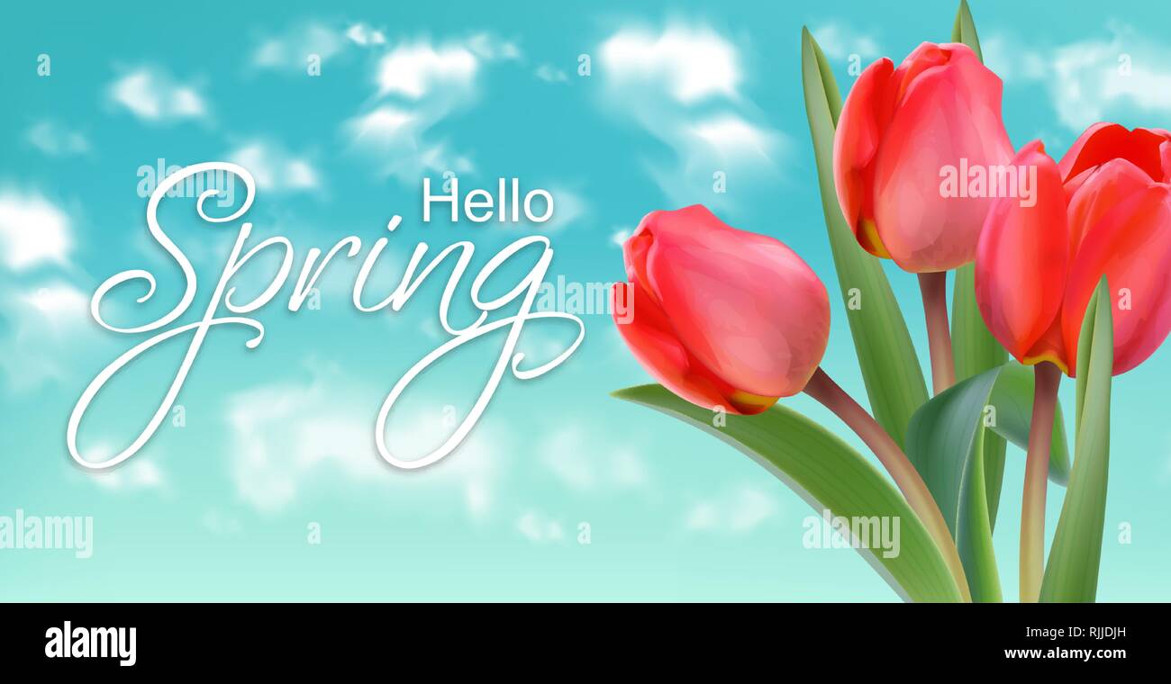 Spring tulip flowers on sky background Vector realistic banner template ...