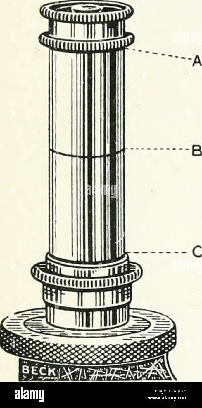 Highest magnification hi-res stock photography and images - Alamy