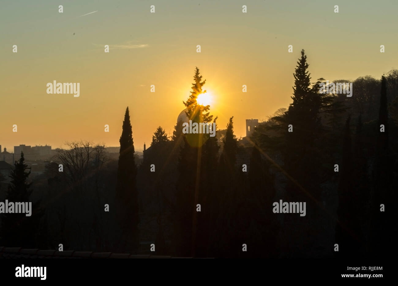 Ray brescia hi-res stock photography and images - Alamy