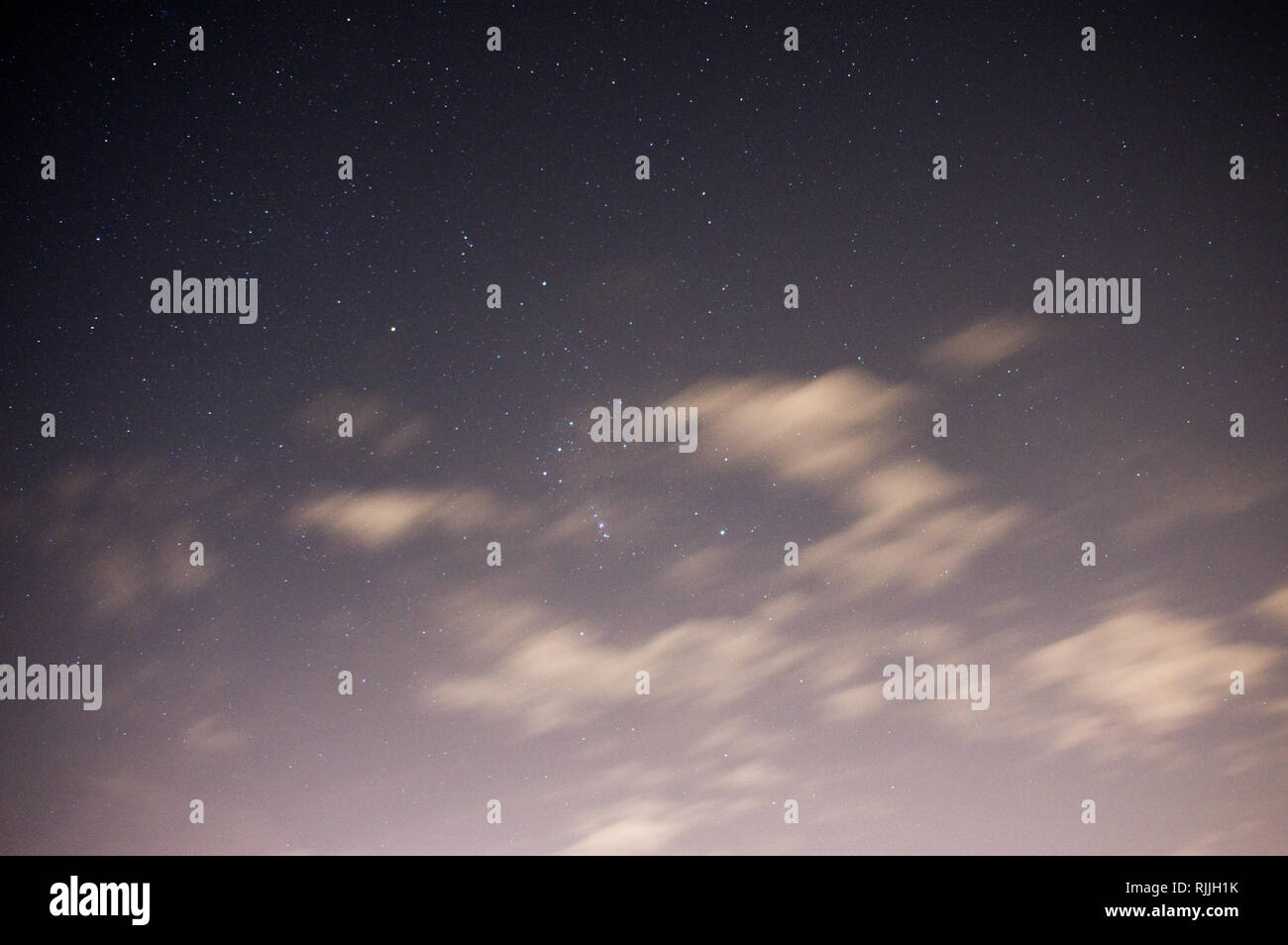 Constellation Orion with little veil clouds Stock Photo - Alamy