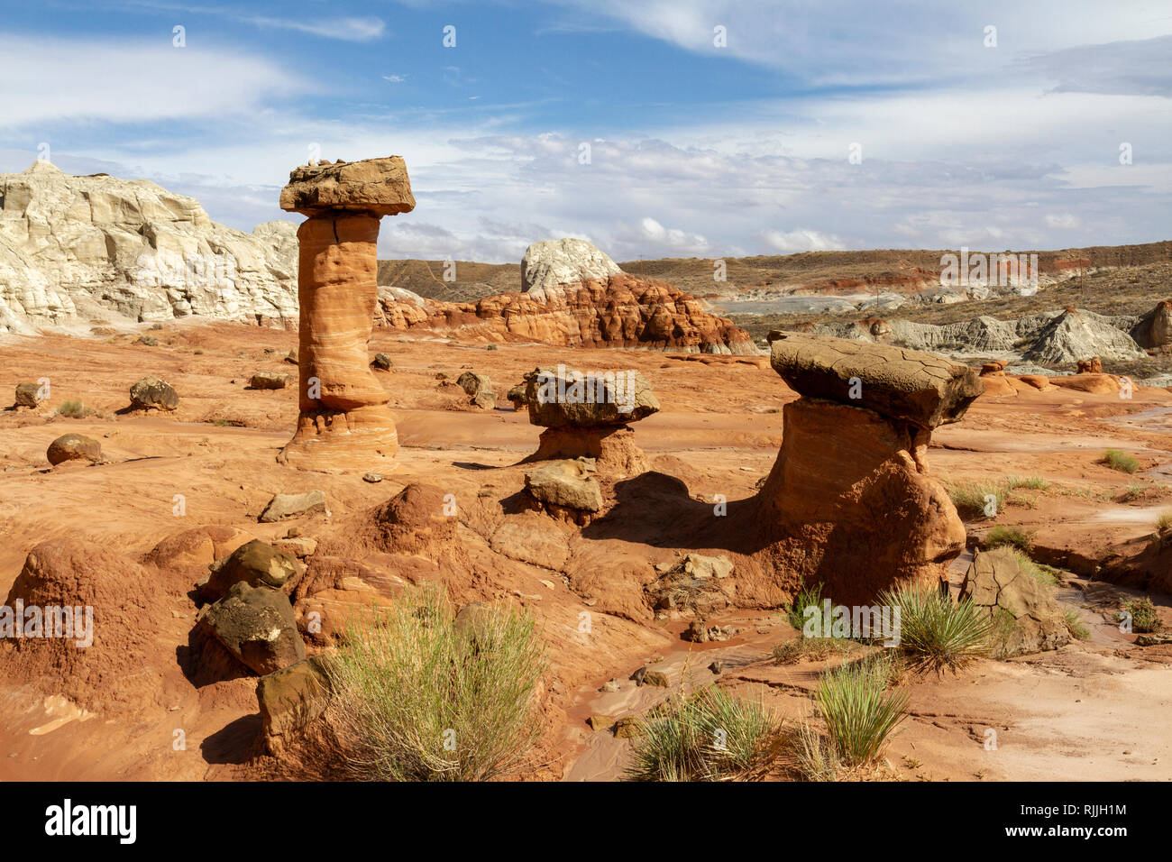 The Toadstool Hoodoos, an area of toadstool shaped balanced rocks in ...