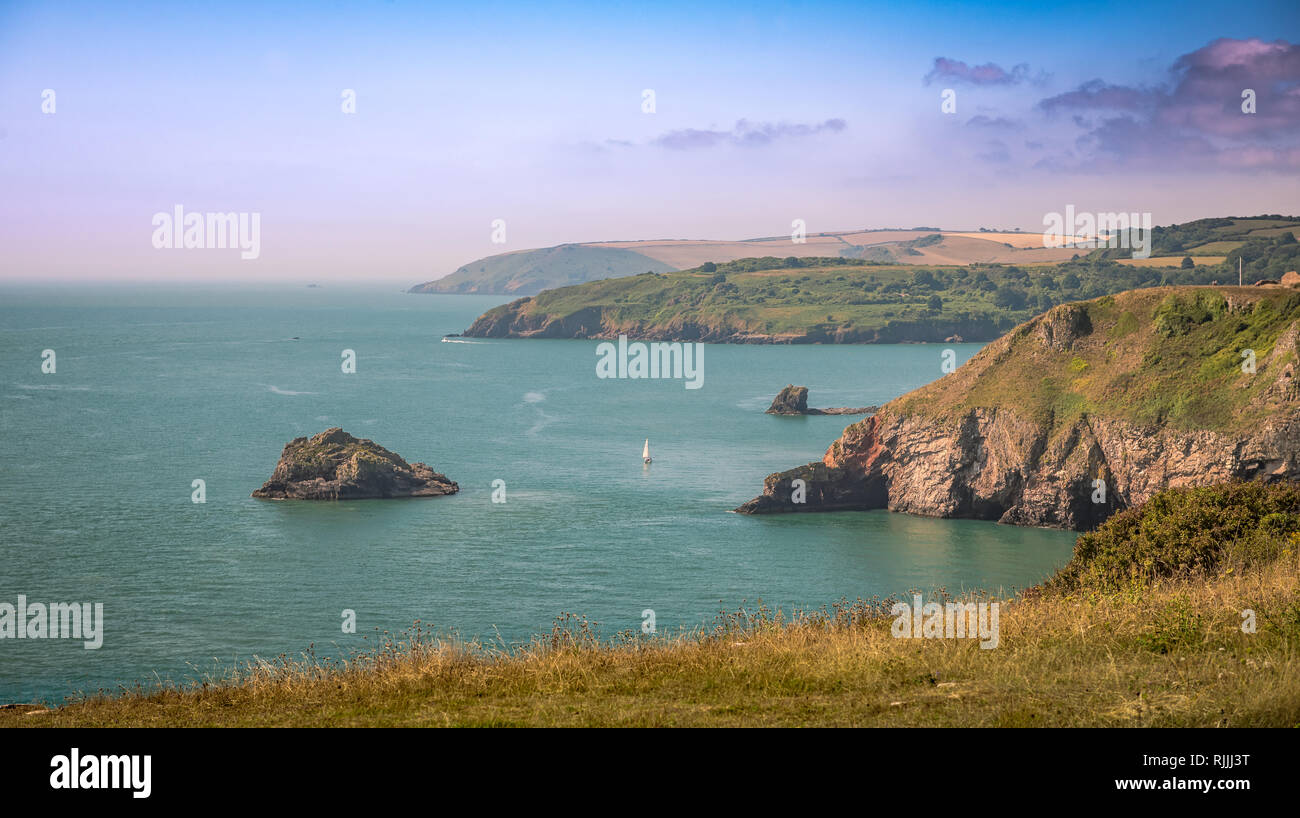 Berry head hi-res stock photography and images - Alamy
