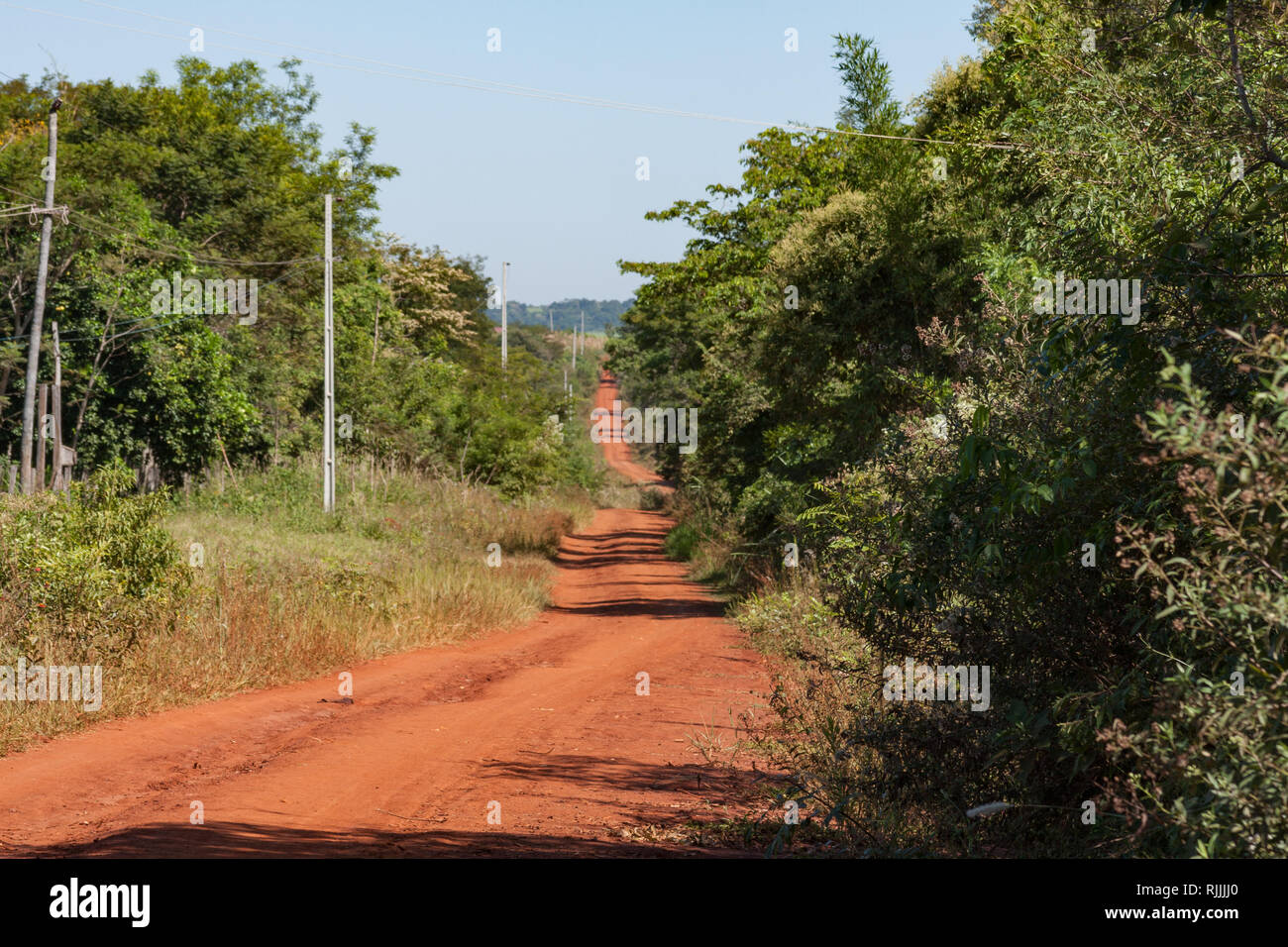 Flora del paraguay hi-res stock photography and images - Alamy