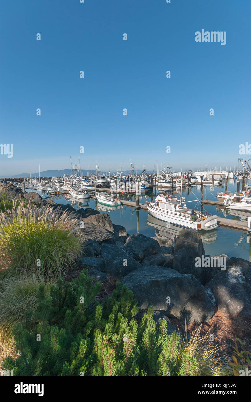 Marina bellingham hi-res stock photography and images - Alamy