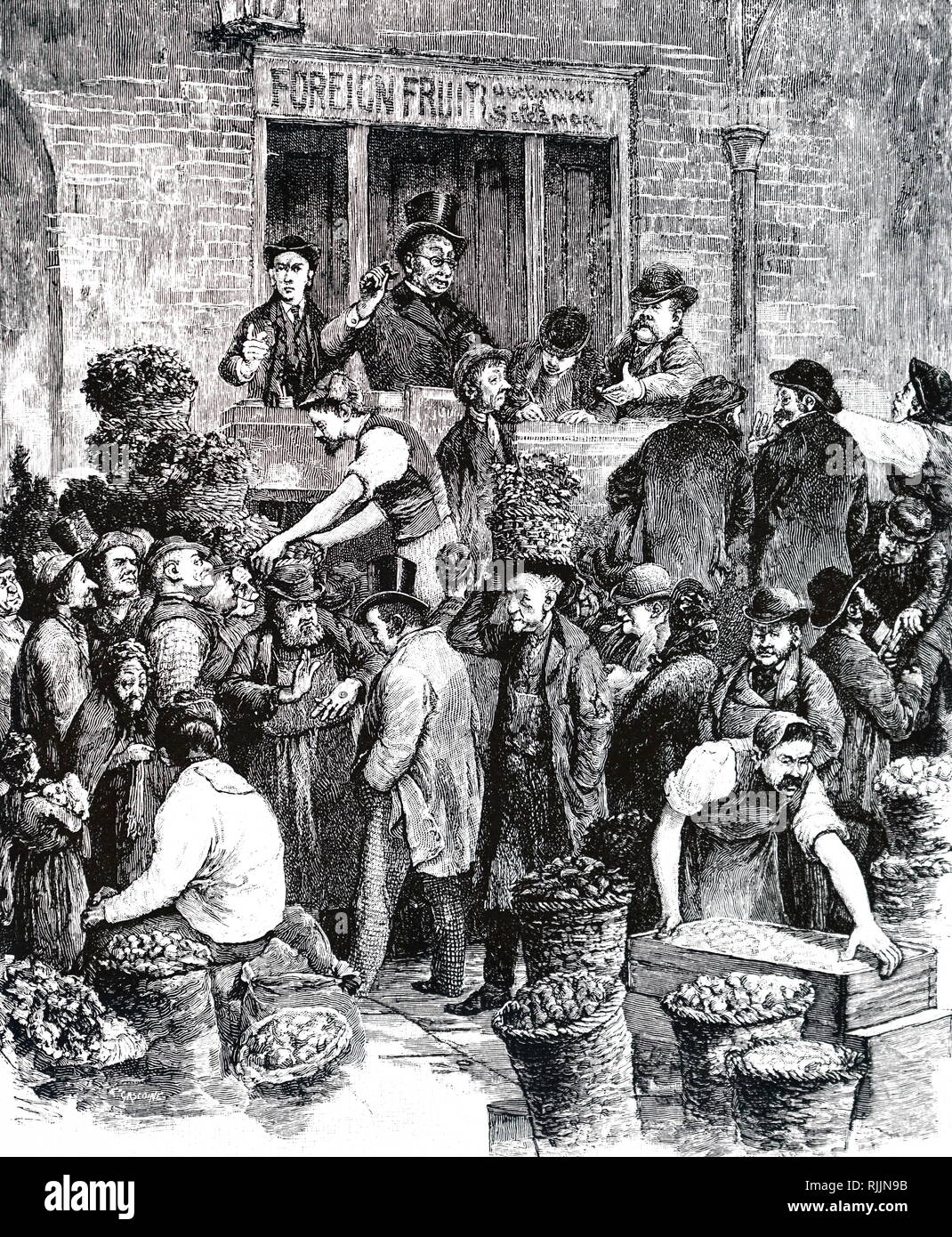 Victorian fruit illustration hi-res stock photography and images - Alamy