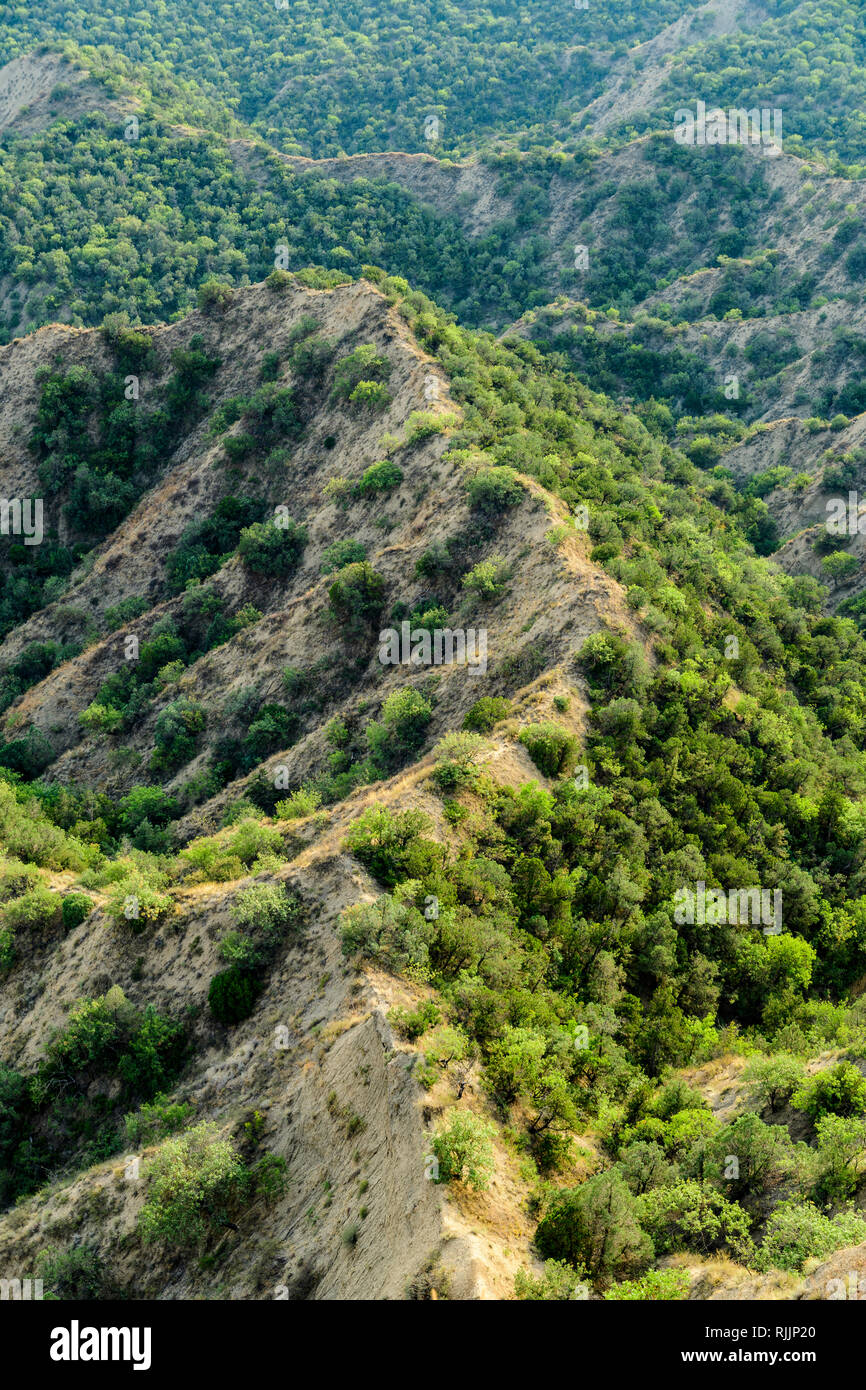The landscape in the strictly protected area of Vashlovani National ...