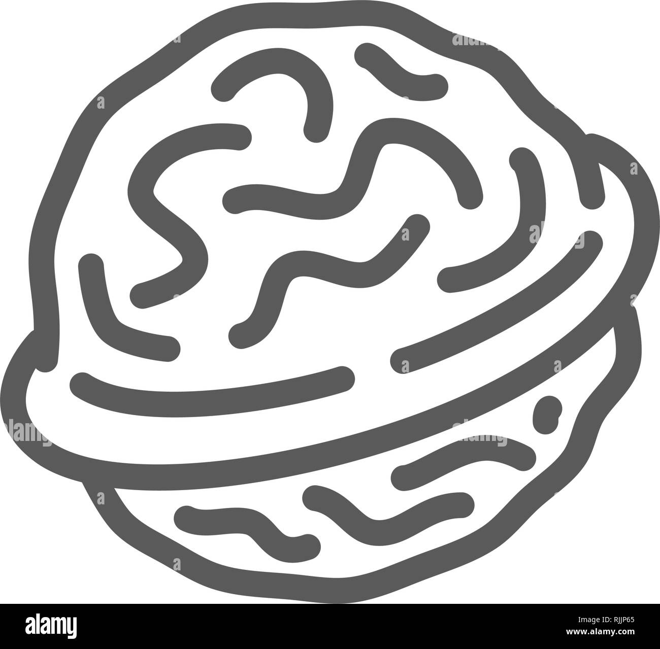 Walnut line icon Stock Vector Image & Art - Alamy
