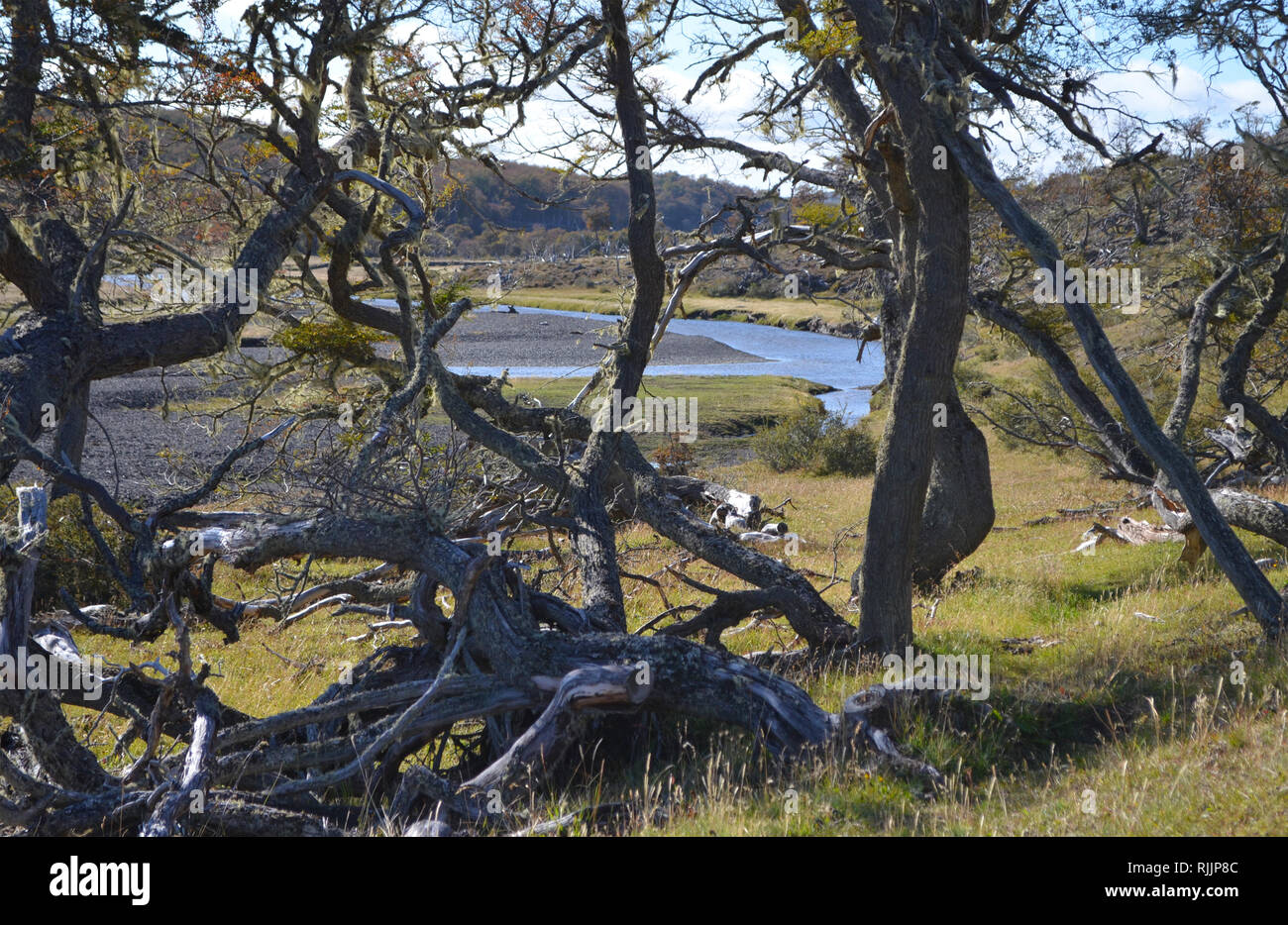Karukinka, a pristine Biosphere reserve at the heart of Tierra del ...