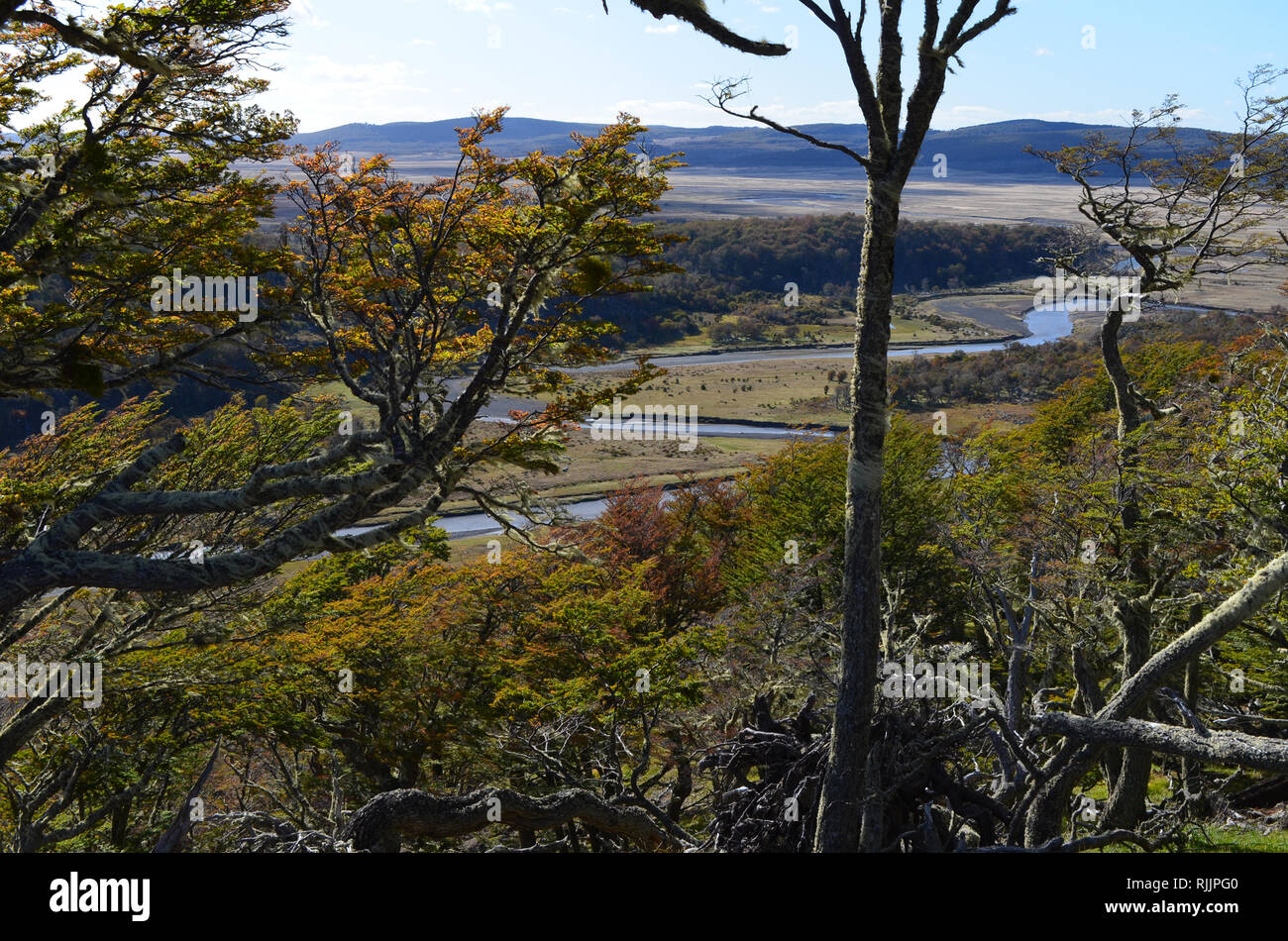 Karukinka, a pristine Biosphere reserve at the heart of Tierra del ...