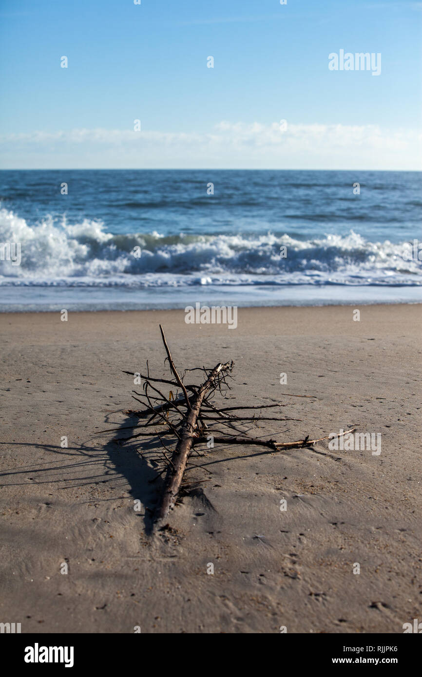 Old driftwood log on the beach hi-res stock photography and images - Alamy
